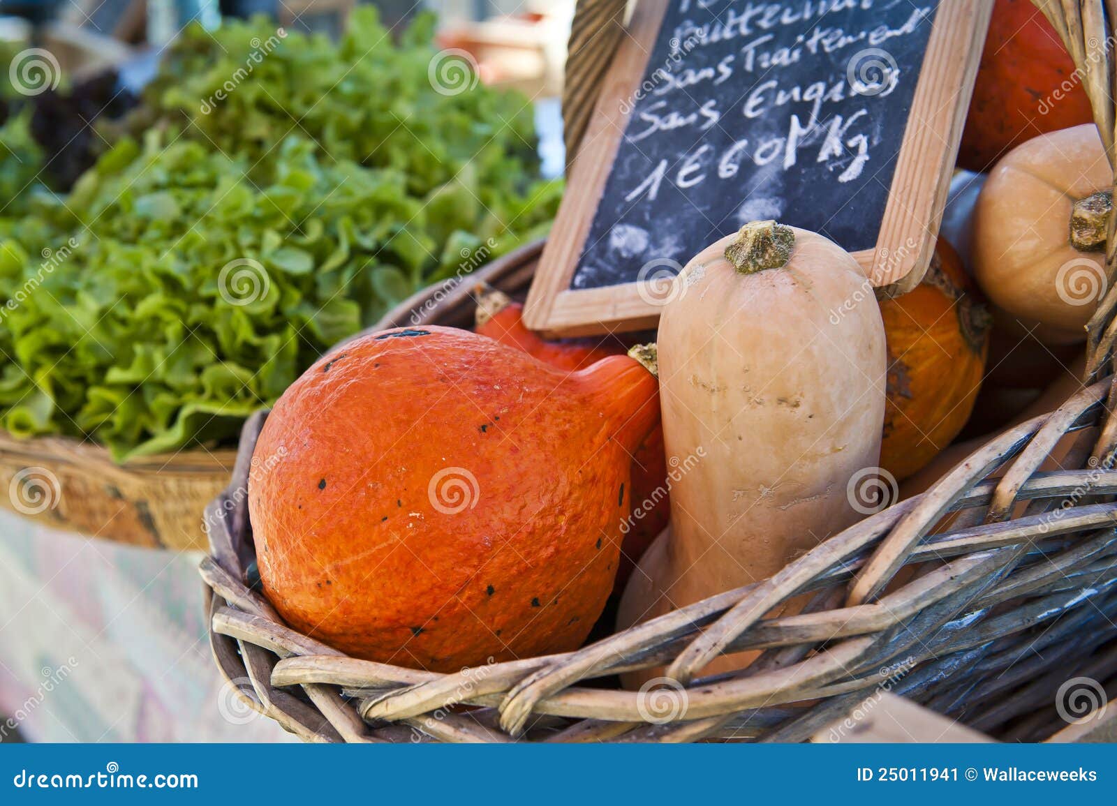 Basket of Squash stock image. Image of tourism, business - 25011941