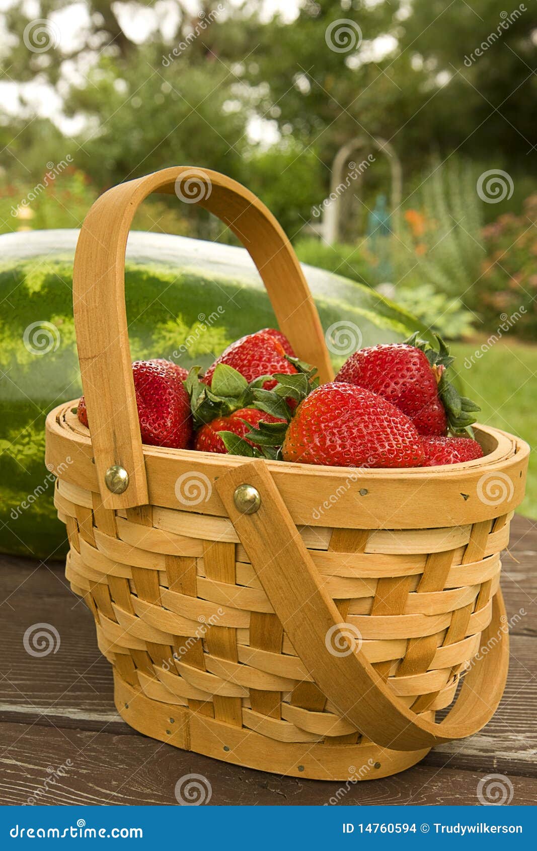 Basket of Strawberries stock photo. Image of outdoors - 14760594