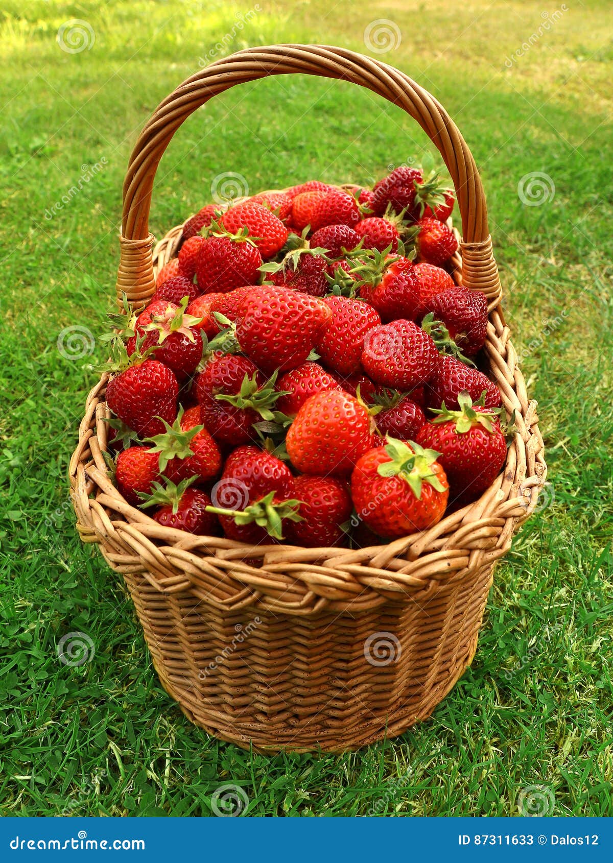 Basket with strawberries stock image. Image of agriculture - 87311633