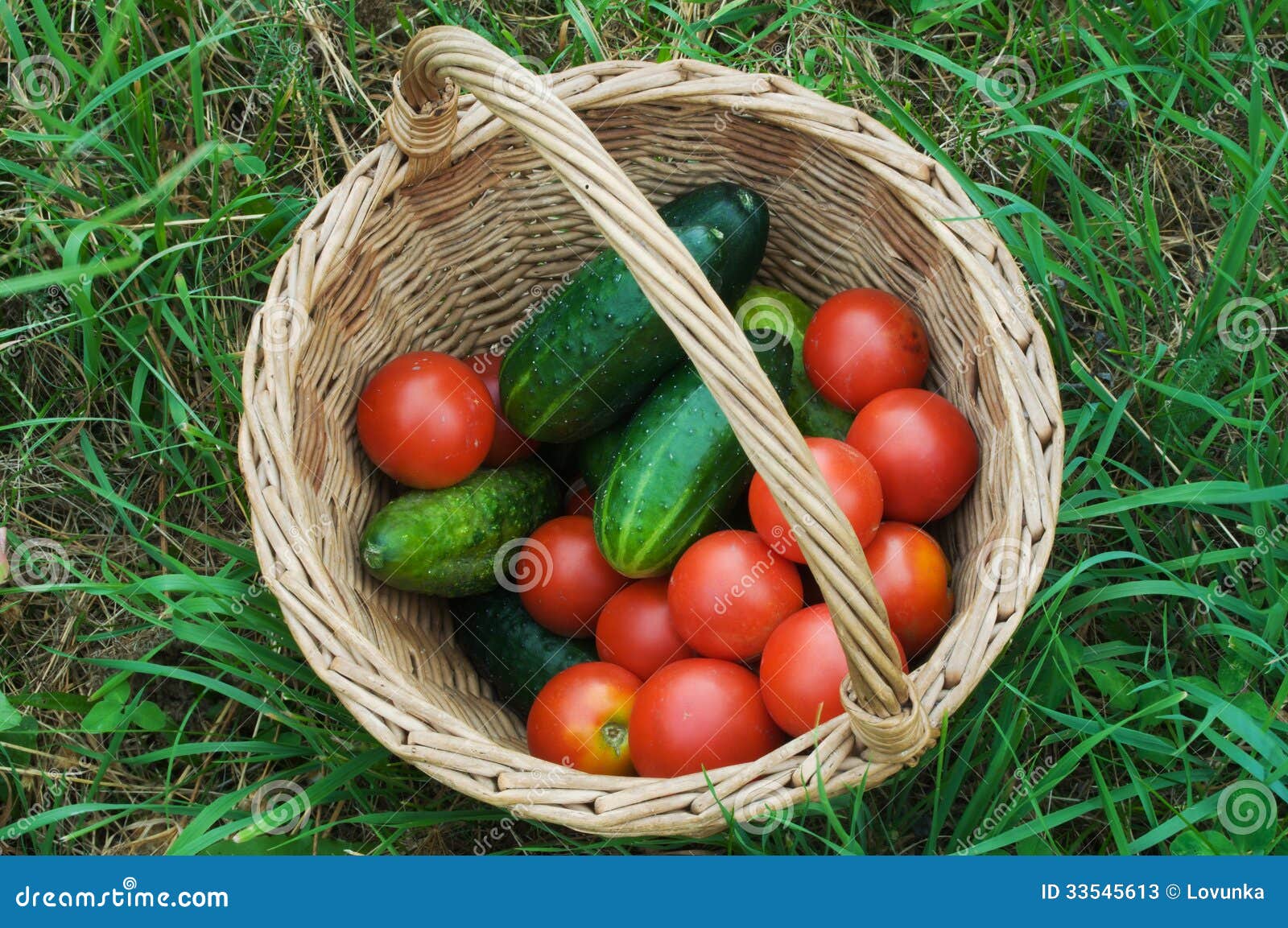 Basket with Vegetable stock image. Image of countryside - 33545613