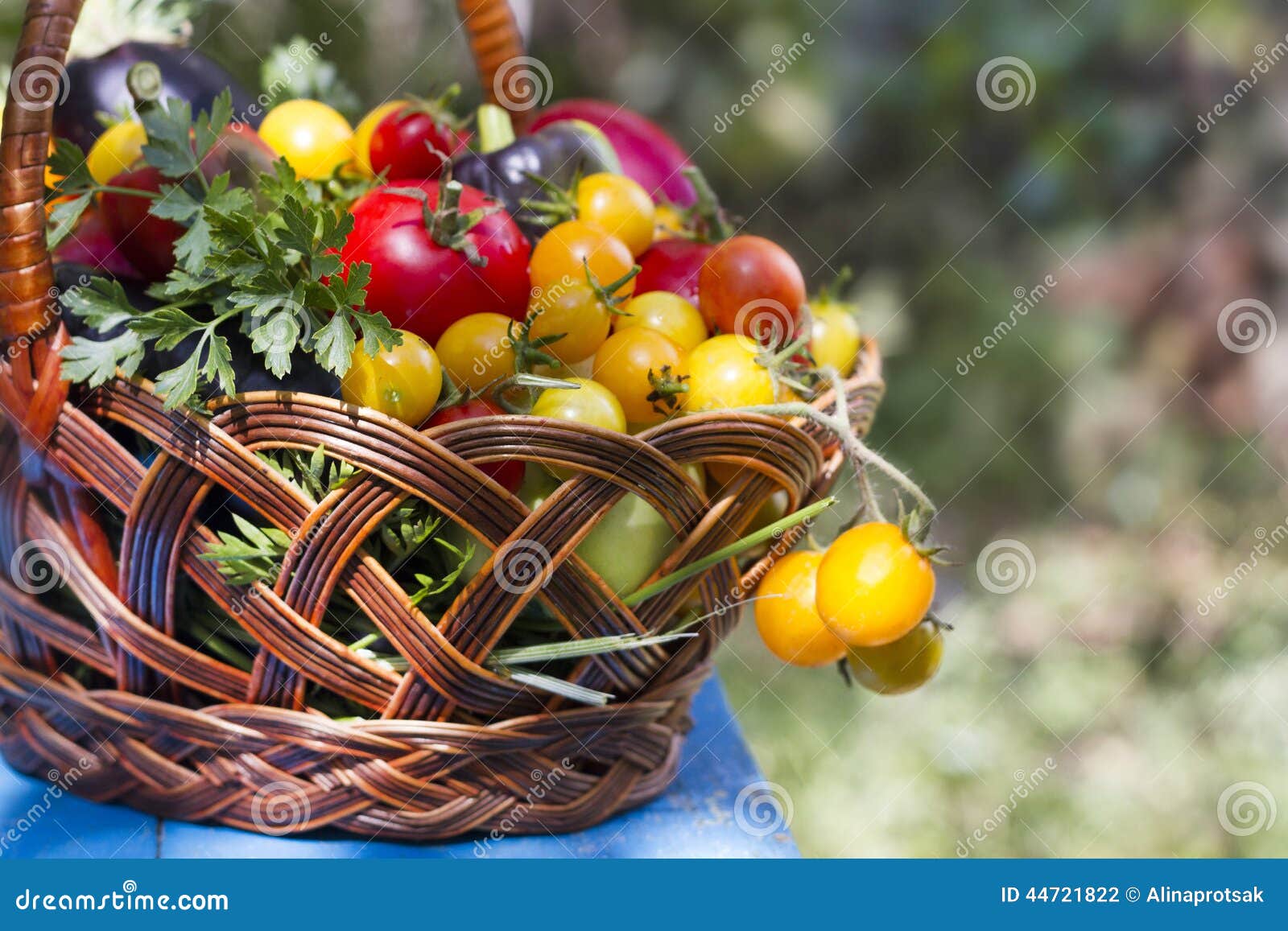 Basket with vegetables stock photo. Image of grow, harvest - 44721822