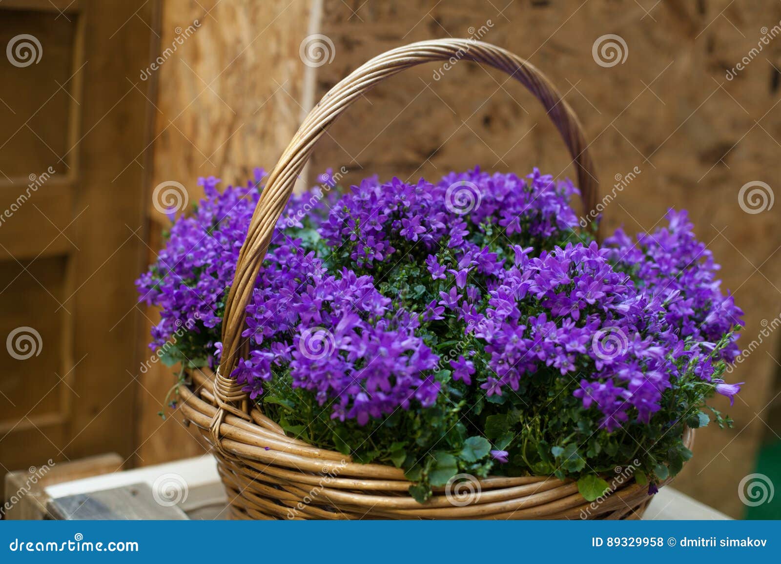 Basket with Violet Blue Flowers Spring Stock Photo - Image of blossom ...