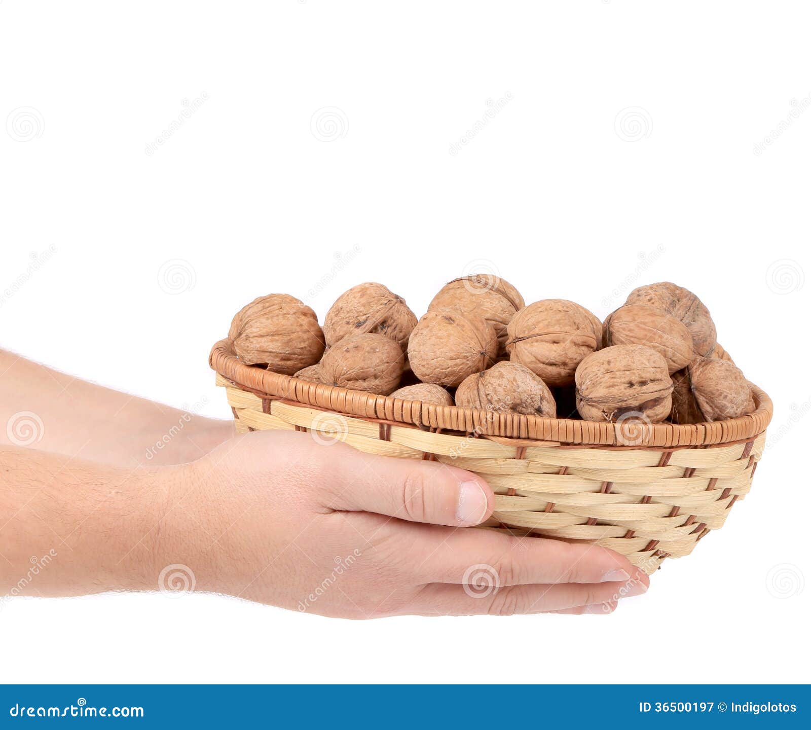 Basket of Walnuts in Hands. Stock Image - Image of holding, brown: 36500197