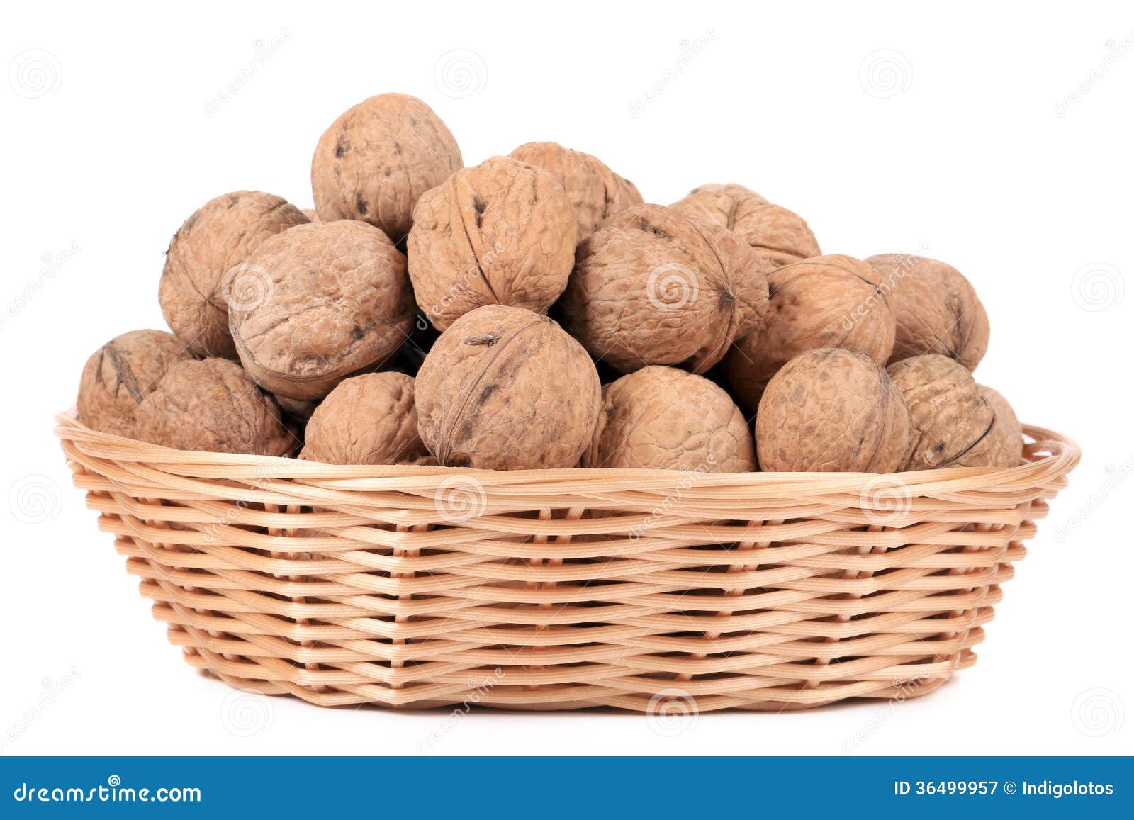 Basket of walnuts. stock image. Image of handful, nutshell - 36499957