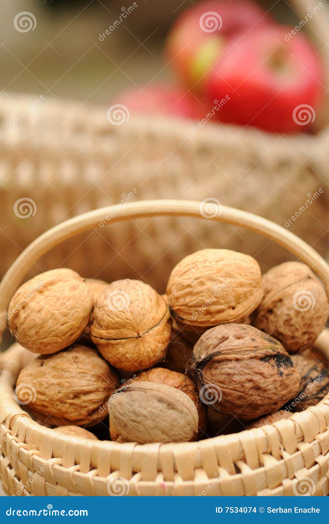 Basket of whole walnuts stock photo. Image of harvest - 7534074