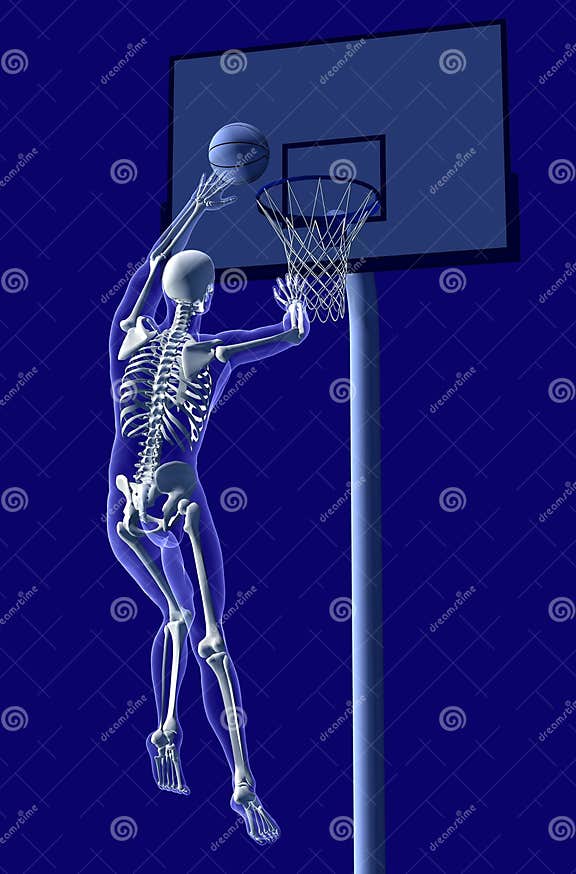 Basketball-Anatomy-1 stock illustration. Illustration of physical - 735739