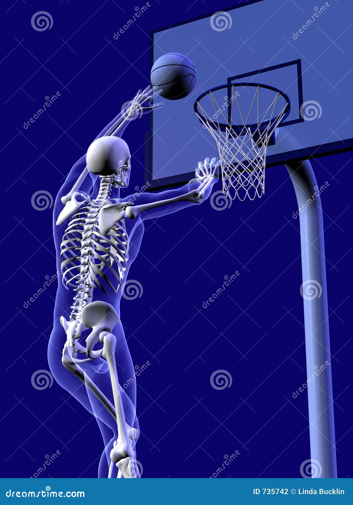 Basketball Anatomy - Close Crop Stock Illustration - Illustration of ...