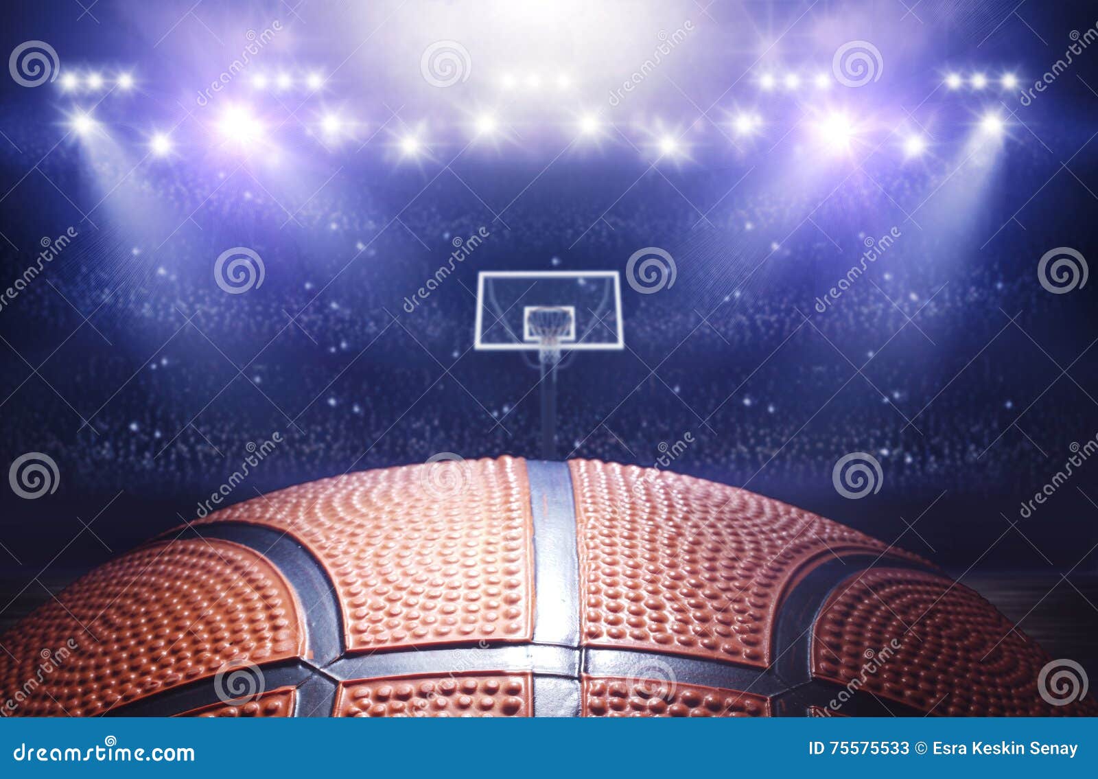 Basketball Arena Stock Photography | CartoonDealer.com #66356816