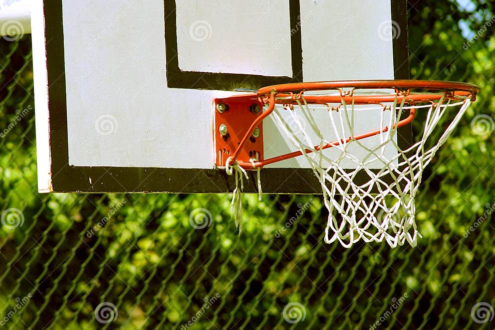 Basketball Basket stock image. Image of white, trees, basket - 53161