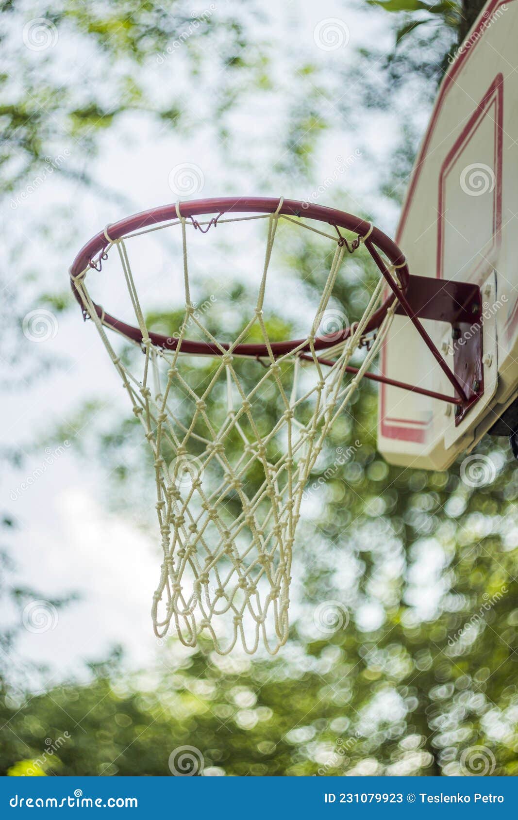 A Basketball Basket on the Tree Stock Image - Image of tree, pursuit ...