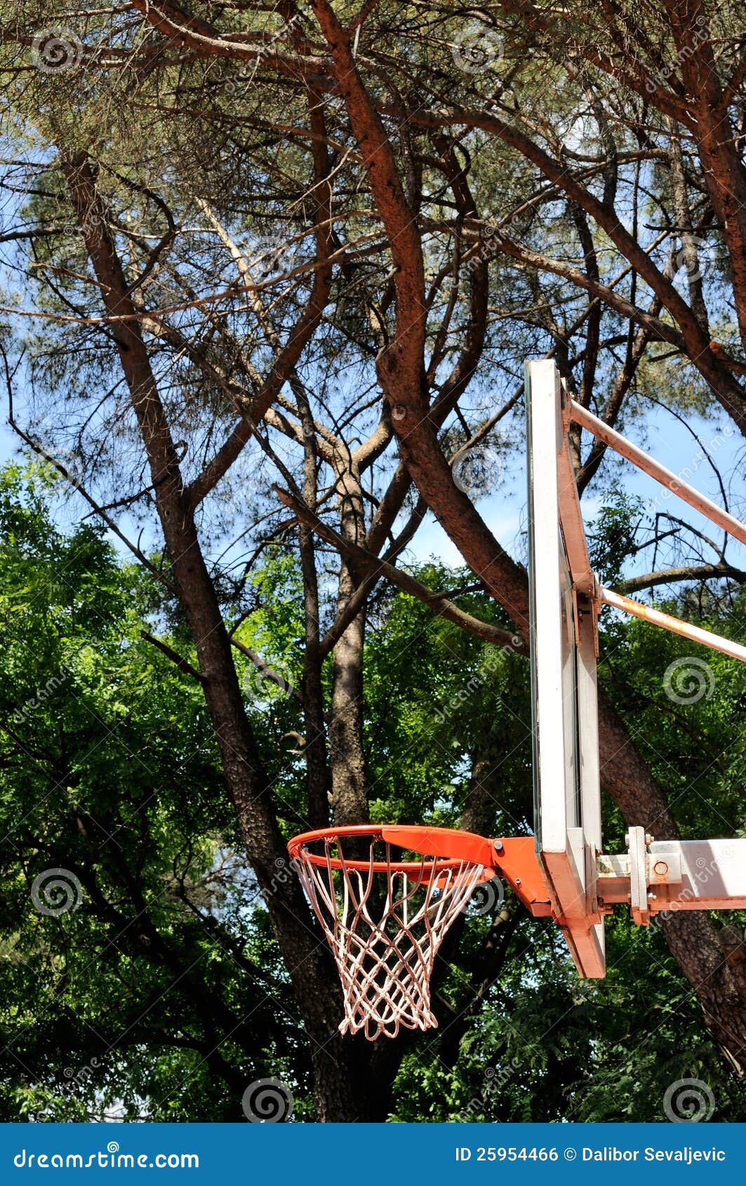 Basketball dunk stock photo. Image of equipment, child - 25954466