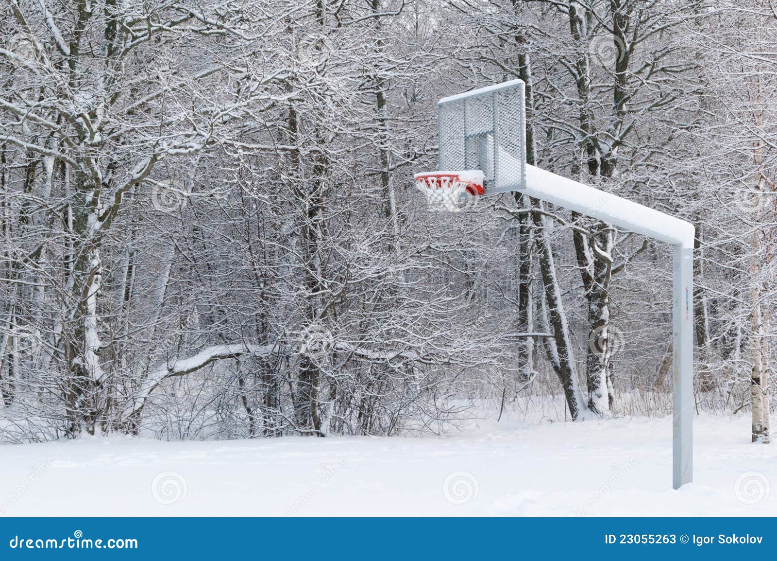 Basketball ground stock image. Image of ground, abstract - 23055263