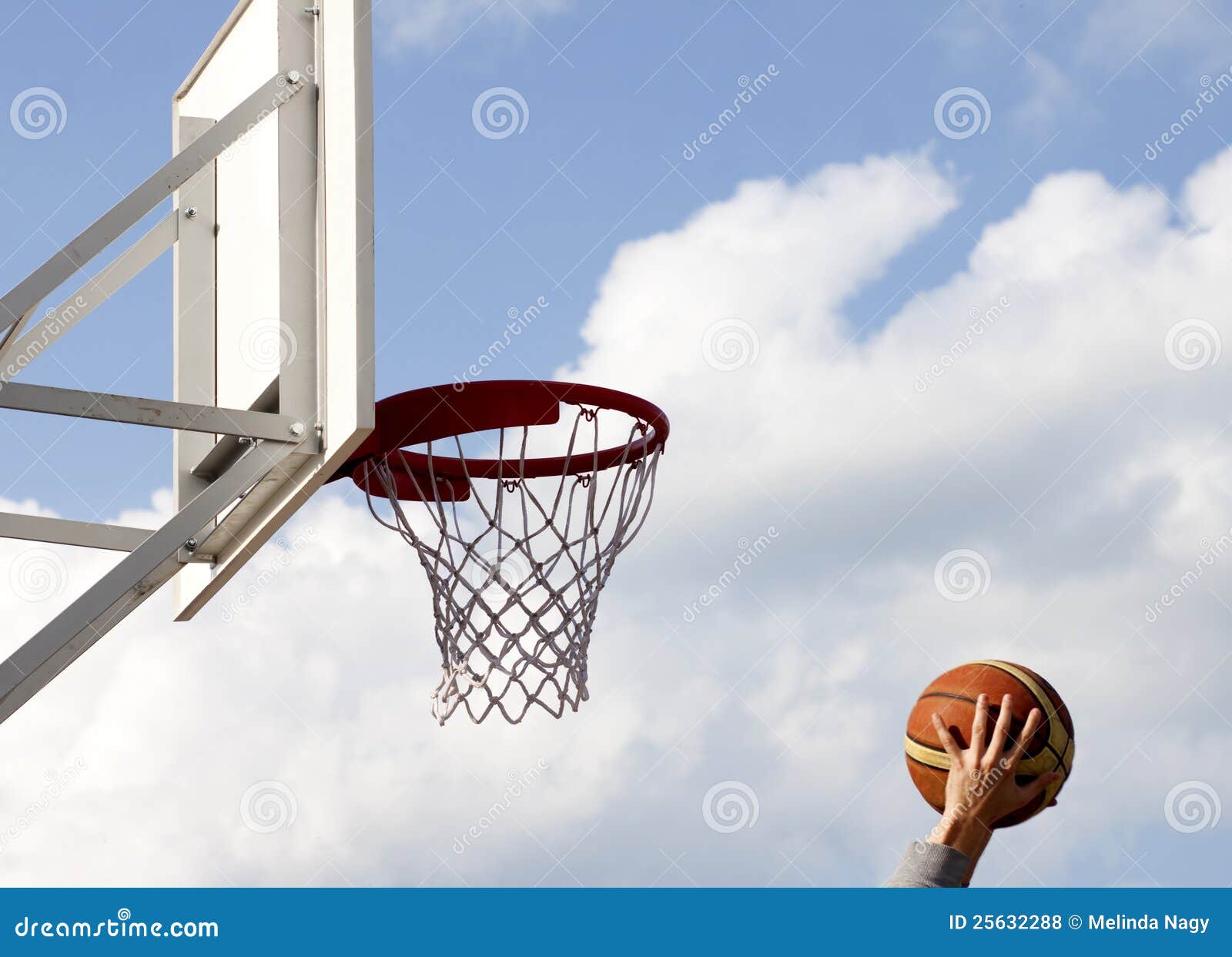 Upward Basketball Tree Of Life at Tayla Stang blog