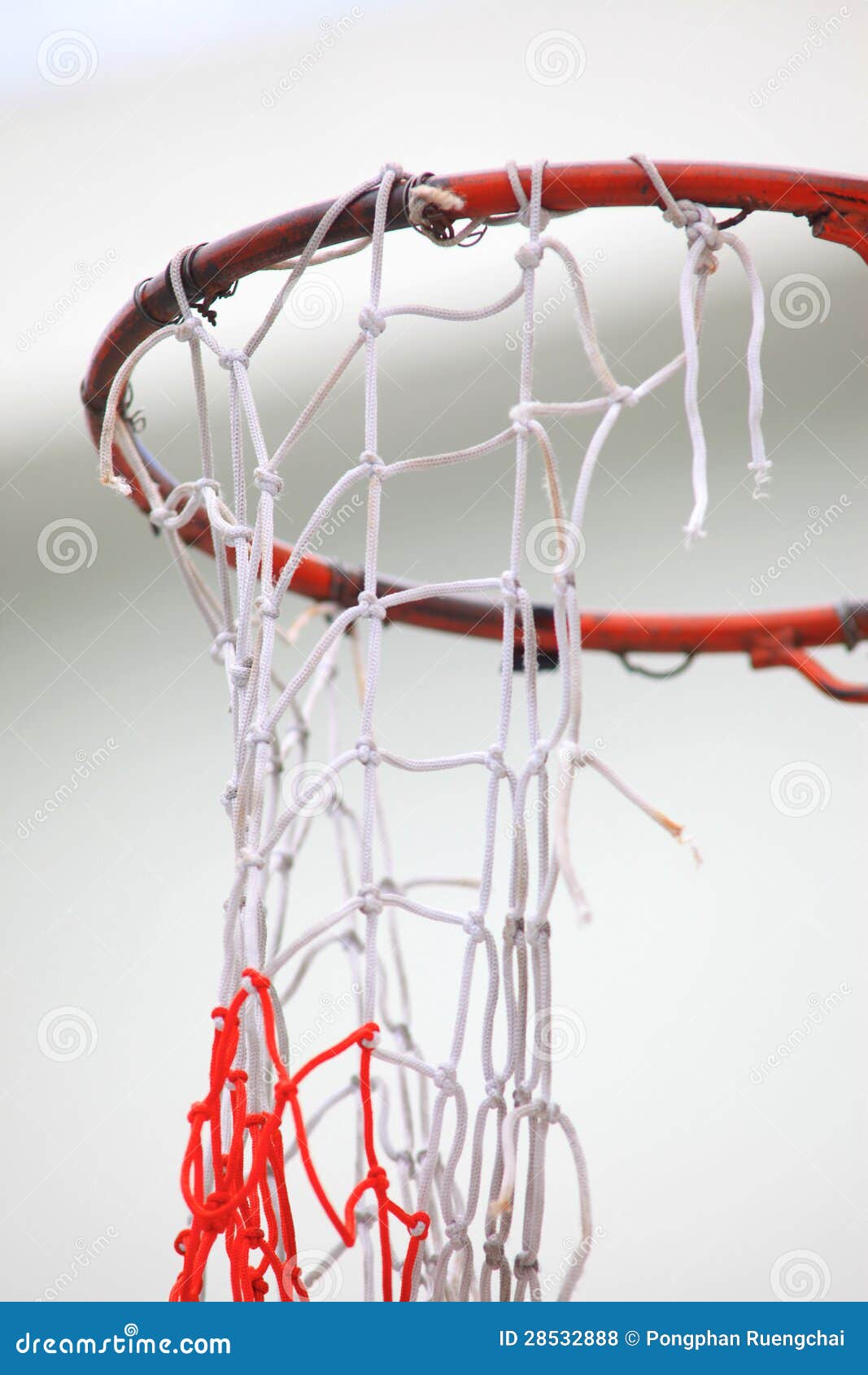 Basketball hoop stock photo. Image of basketball, team - 28532888