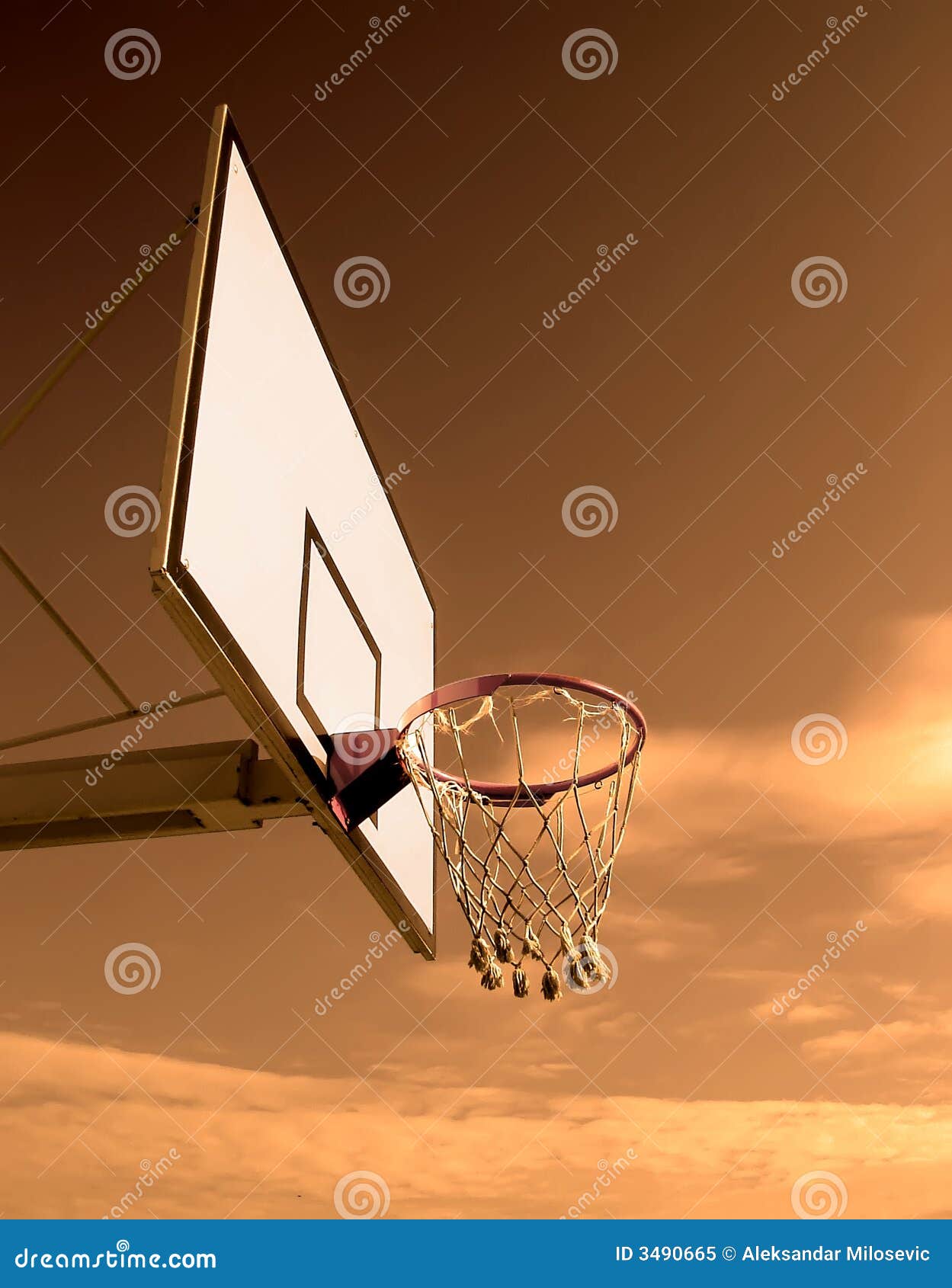 Basketball Hoop Looking Upward With Sky And Tree Branch. Royalty-Free ...