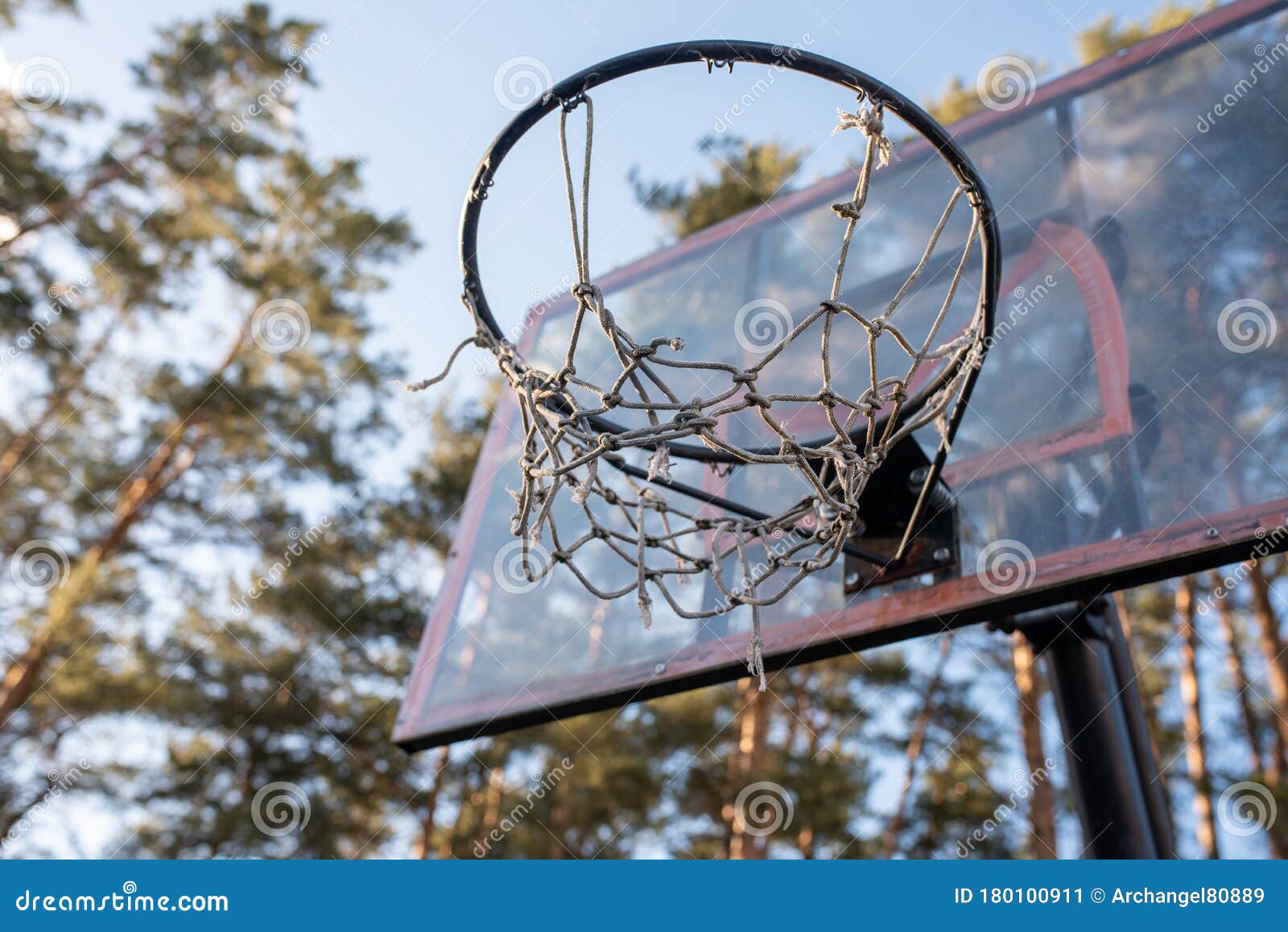 Basketball Hoop in the Forest Stock Image - Image of floor, land: 180100911
