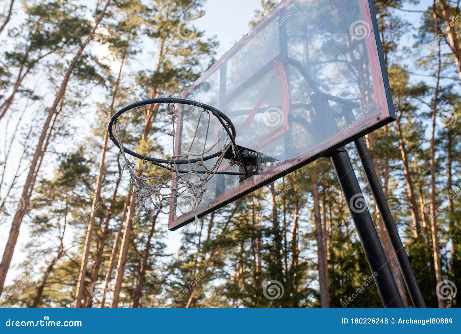 Basketball Hoop in the Forest Stock Photo - Image of exercise, goal ...