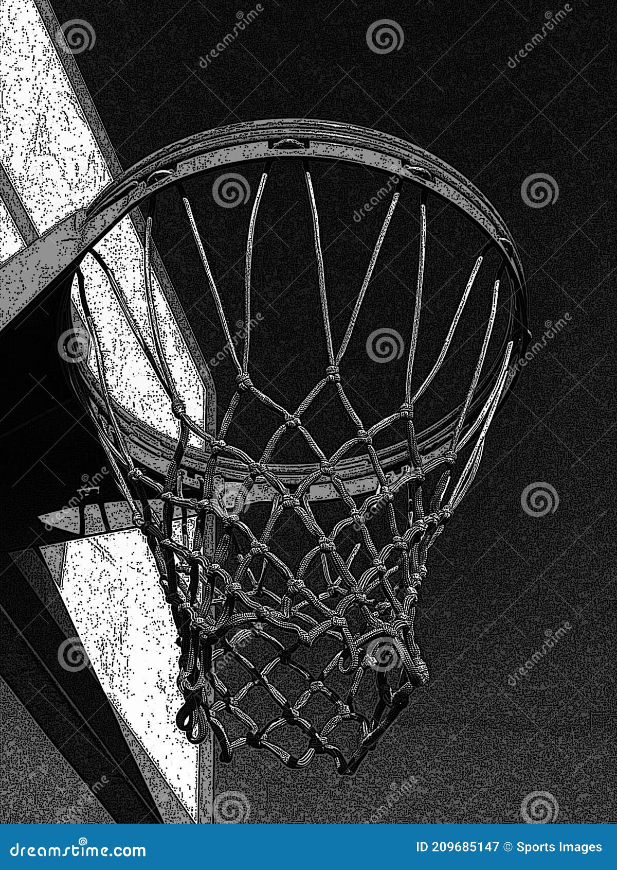 Basketball Hoop with Net. stock image. Image of white - 209685147