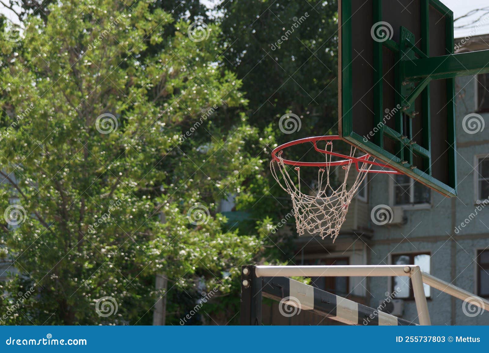 Basketball Hoop on Park Trees Background Stock Image - Image of ...