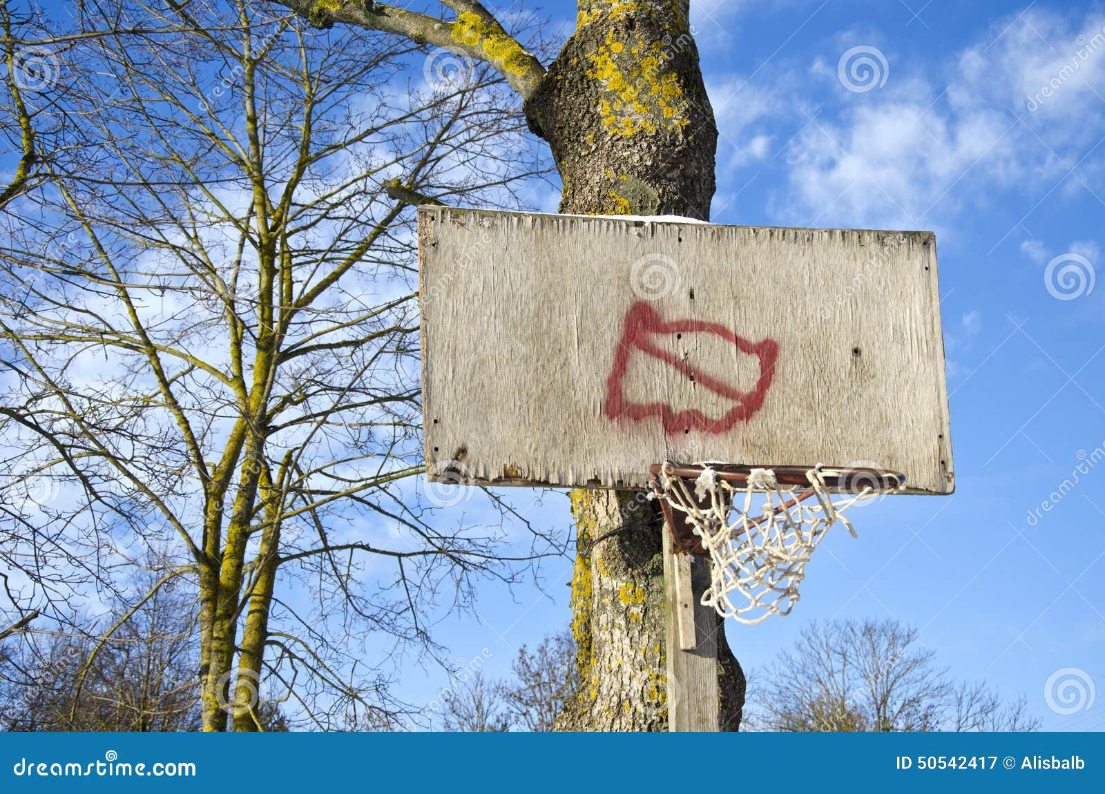 Basketball Hoop Primitive Board with Broken Net on Tree Stock Image ...