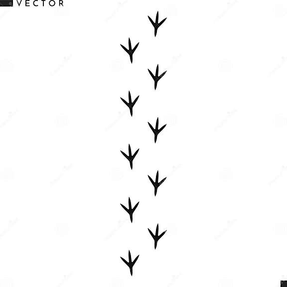 Crow Paw Print Silhouette. Bird Paw Print Vector Stock Vector ...