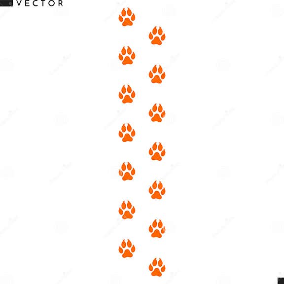 Fox Footprint Vector. Animal Track Stock Vector - Illustration of ...
