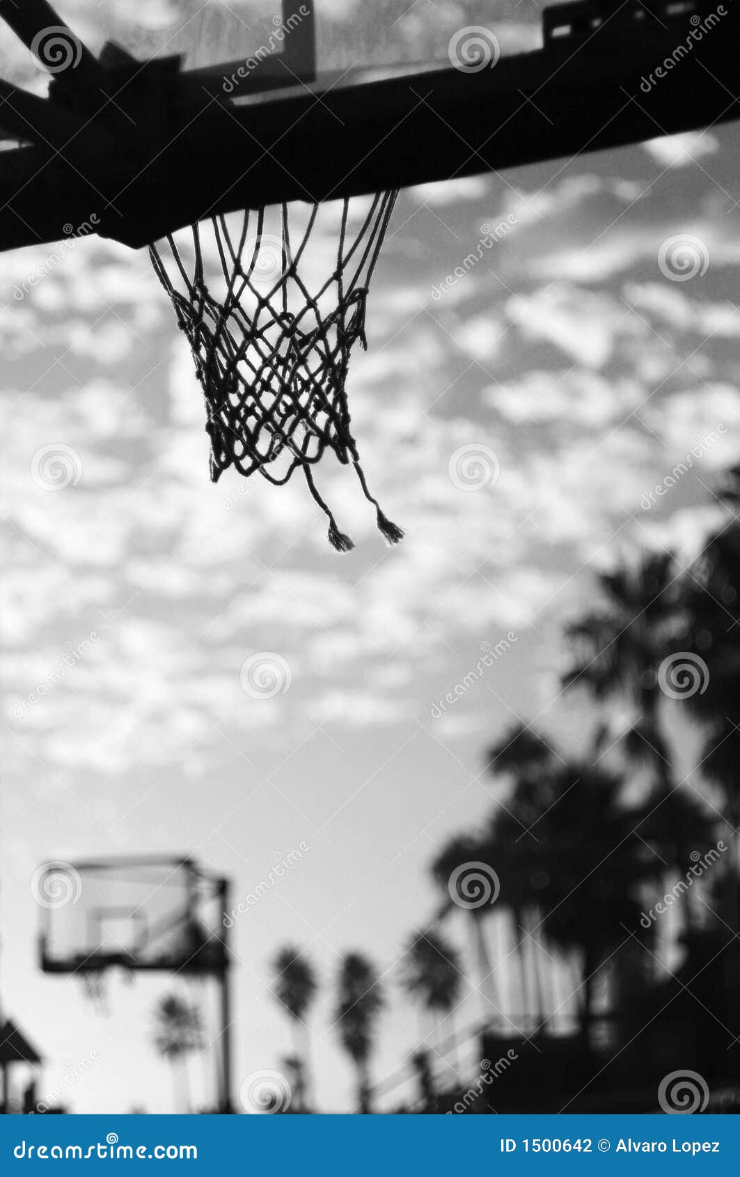 Basketball Net stock photo. Image of palm, court, swish - 1500642
