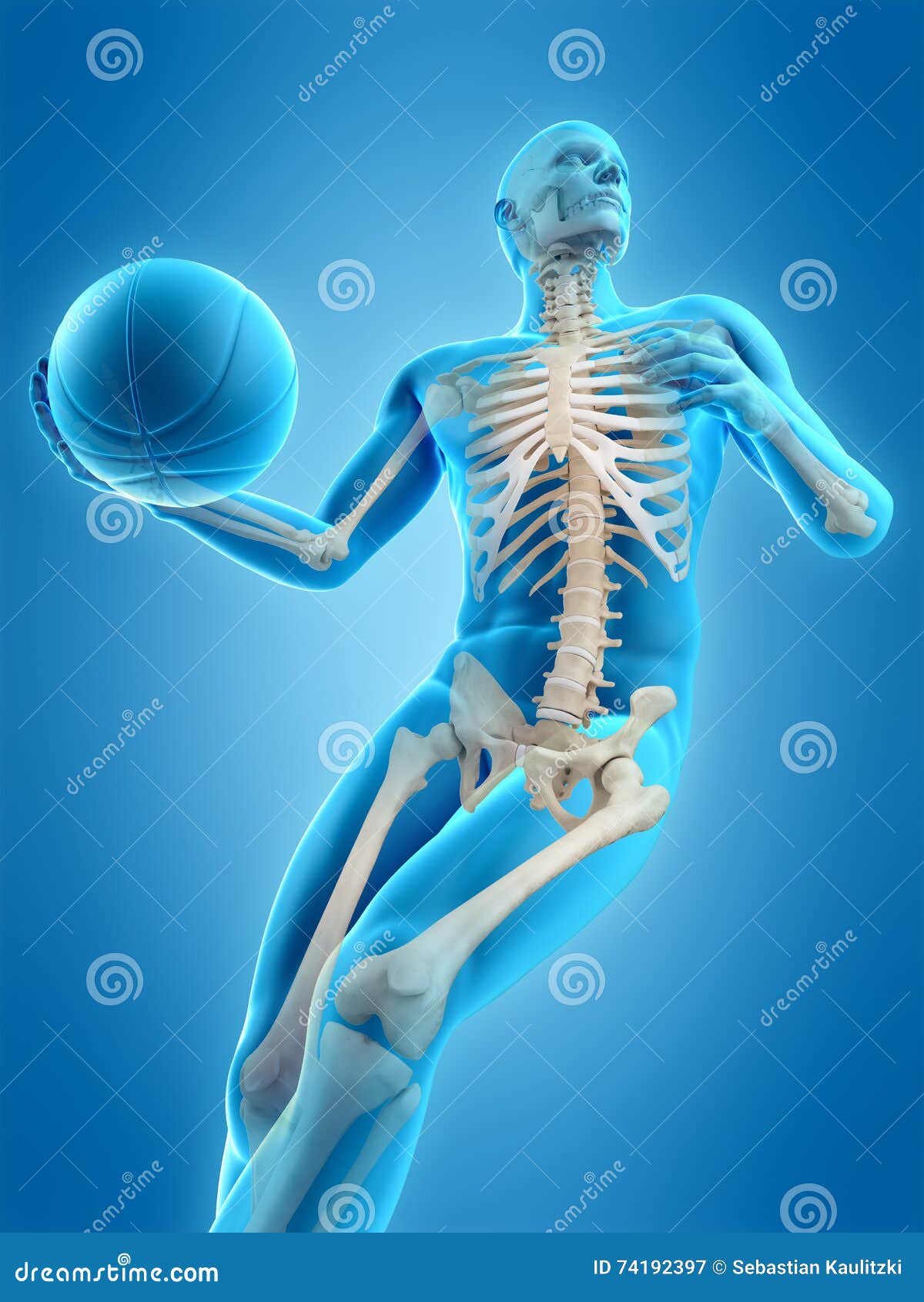 Of basketball player stock illustration. Illustration of anatomically ...