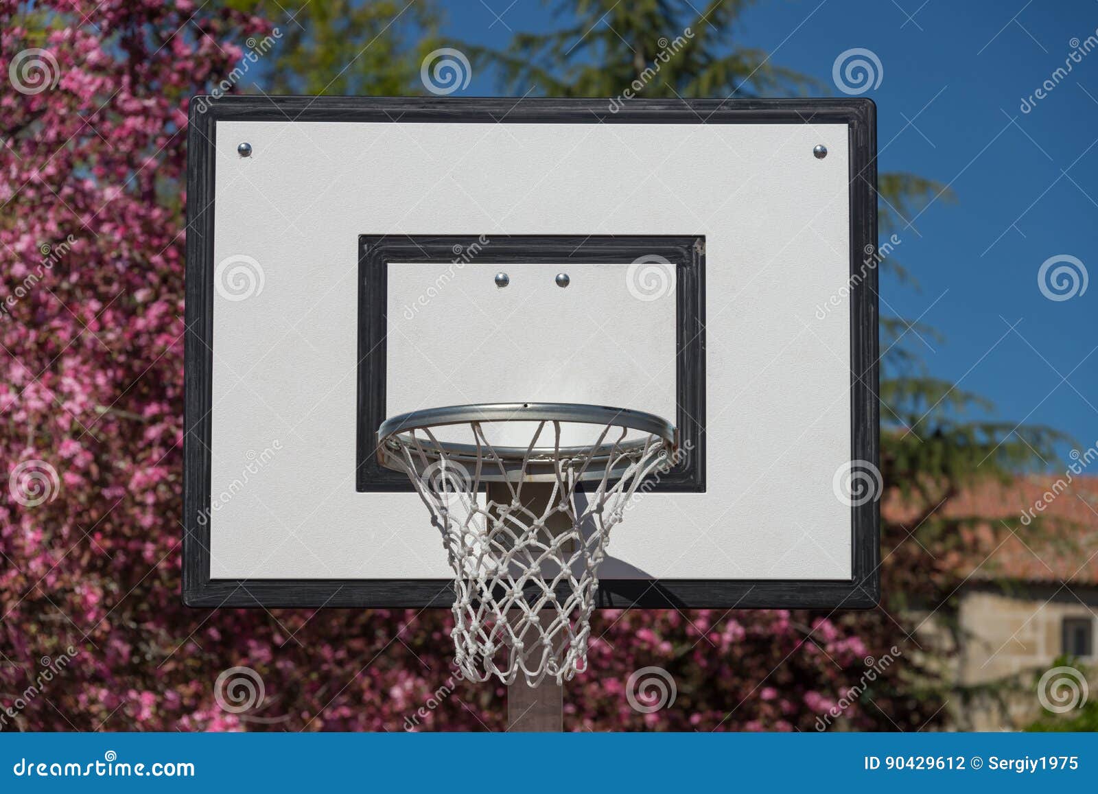 Basketball Shield on the Street Stock Photo - Image of activity ...