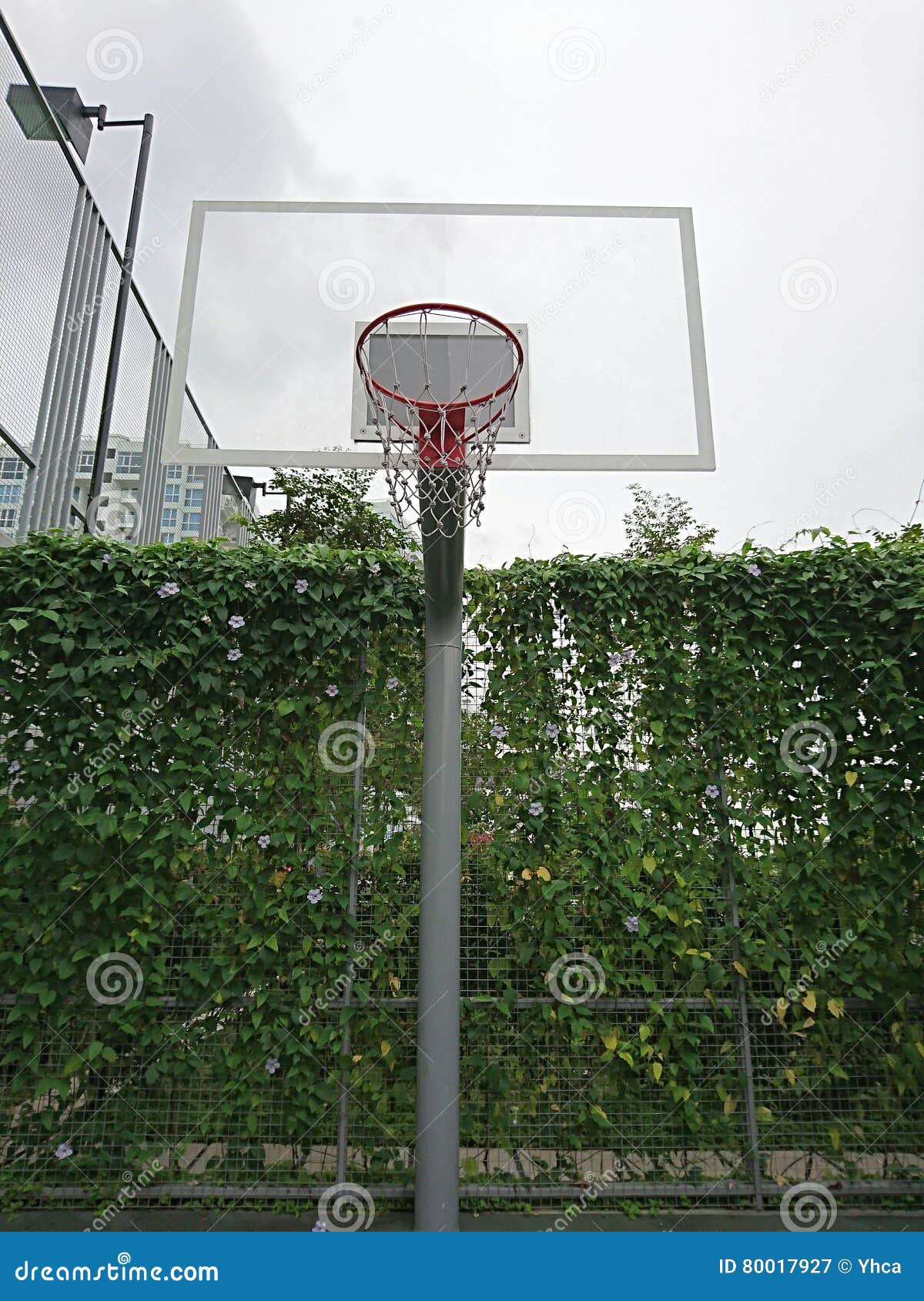 Basketball Stand Vertical View Stock Image - Image of frame, pole: 80017927