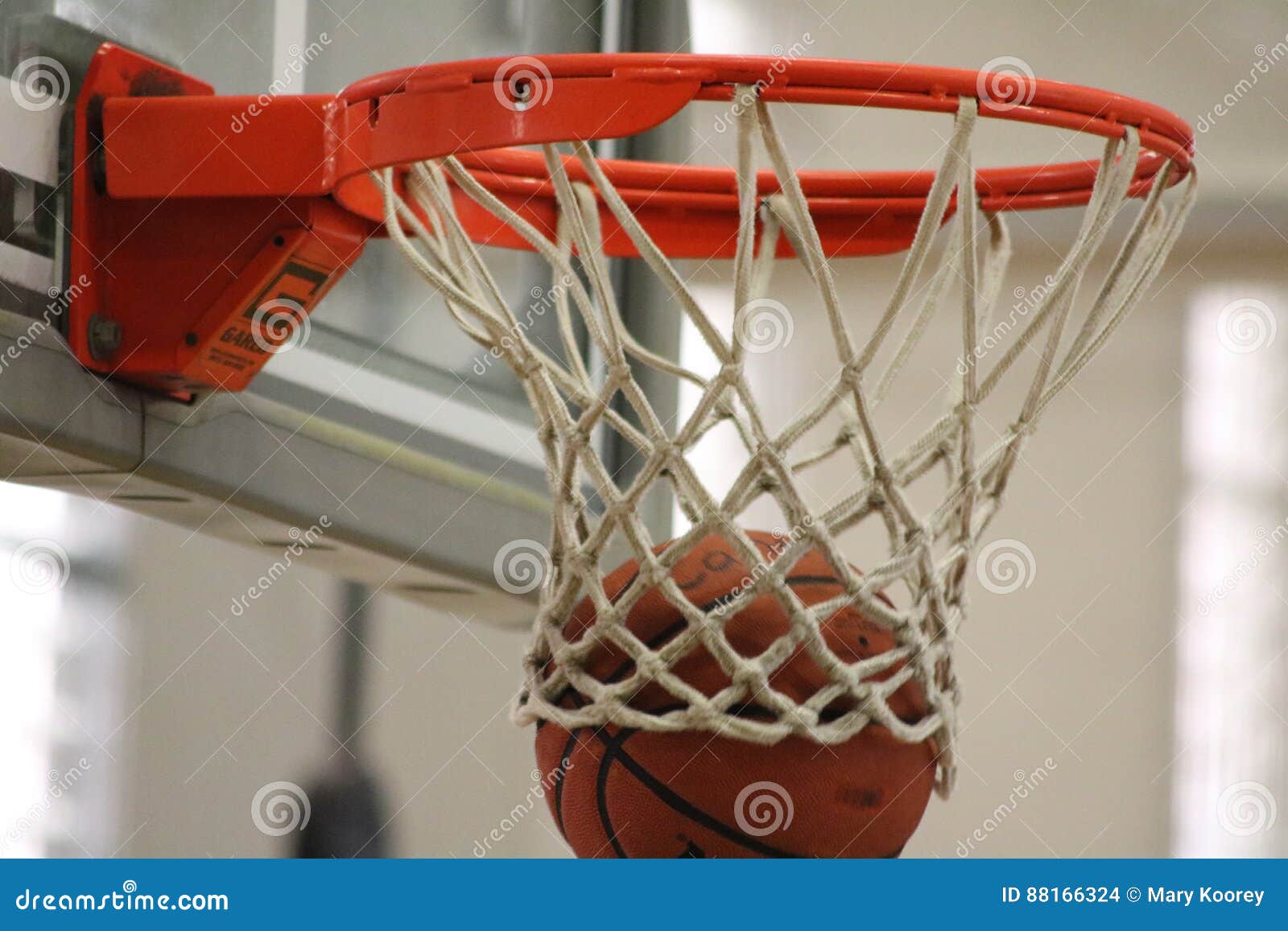 Basketballs Ring stock photo. Image of famous, coated - 88166324