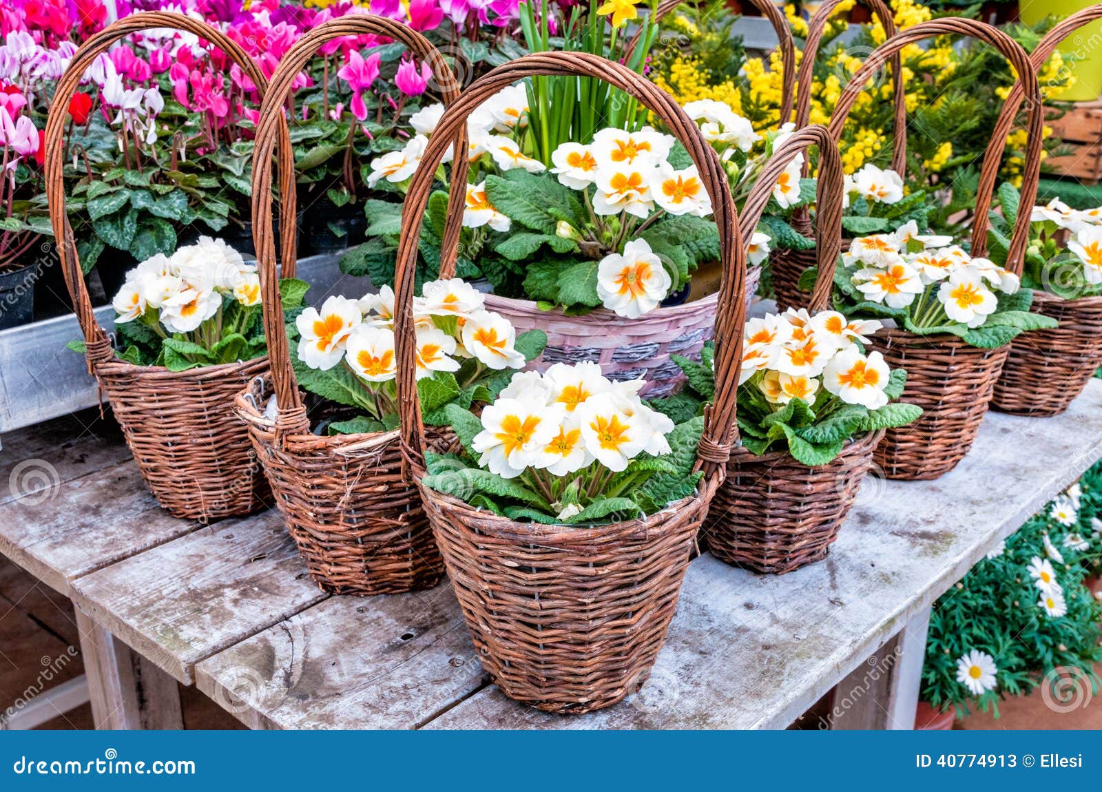 Baskets with flowers stock image. Image of botany, bunch - 40774913