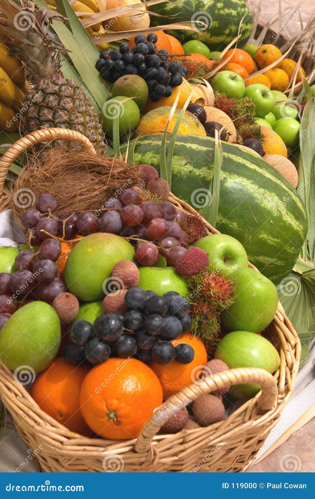 Baskets of fruit stock photo. Image of pineapples, diet - 119000