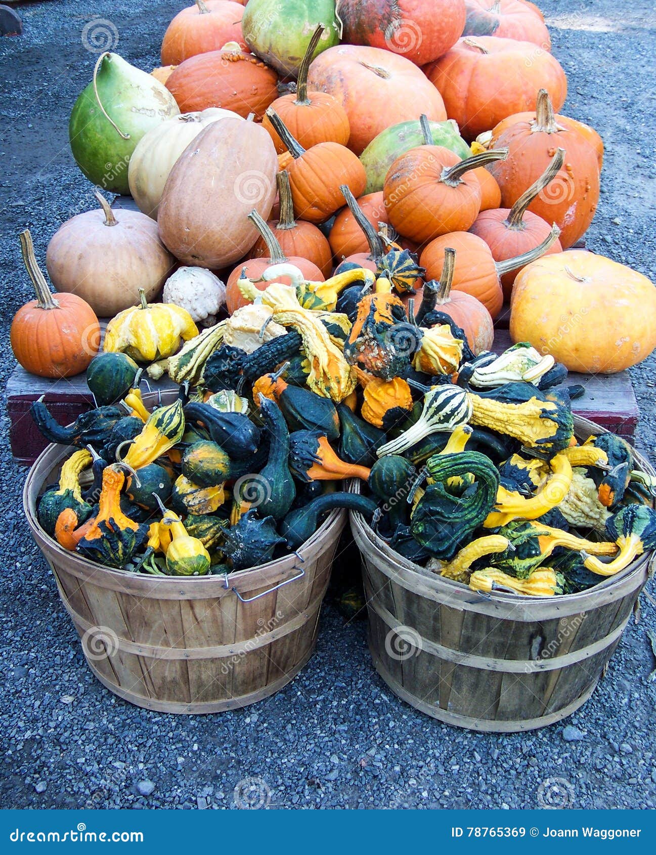 Baskets of Gourds and Pumpkins Stock Image - Image of large, autumn ...