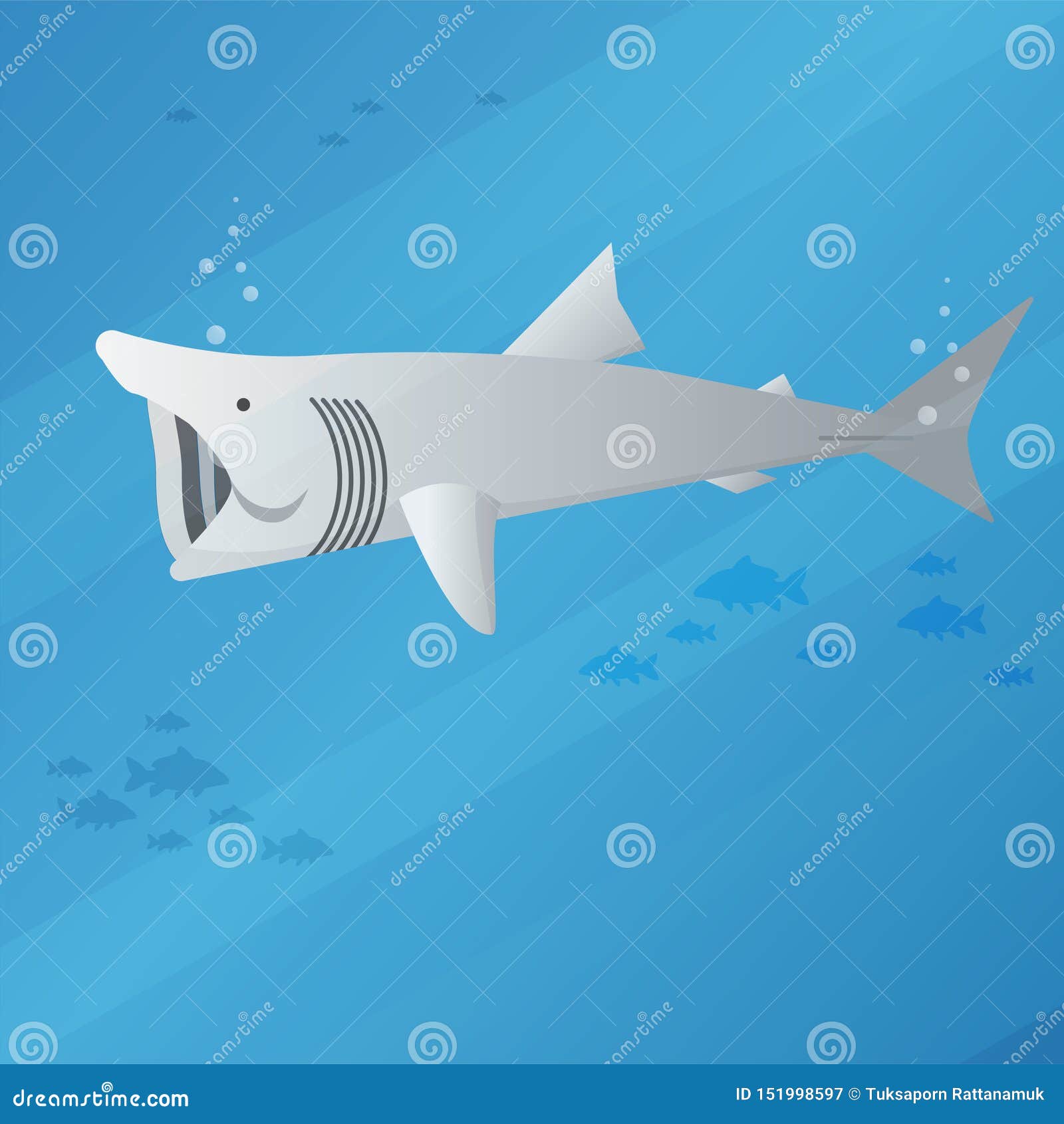Basking Shark Animal Vector Illustration Hand Drawn Cartoon Art ...