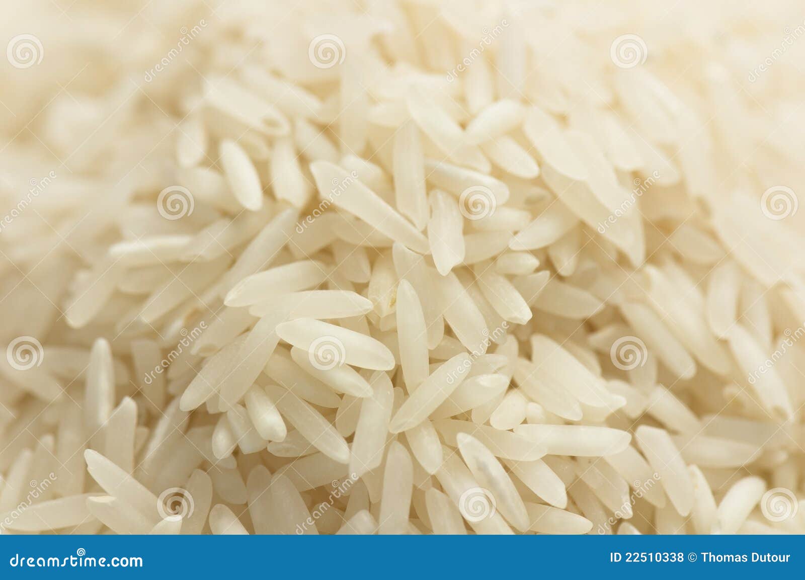 Basmati rice stock photo. Image of cooking, nutrition - 22510338