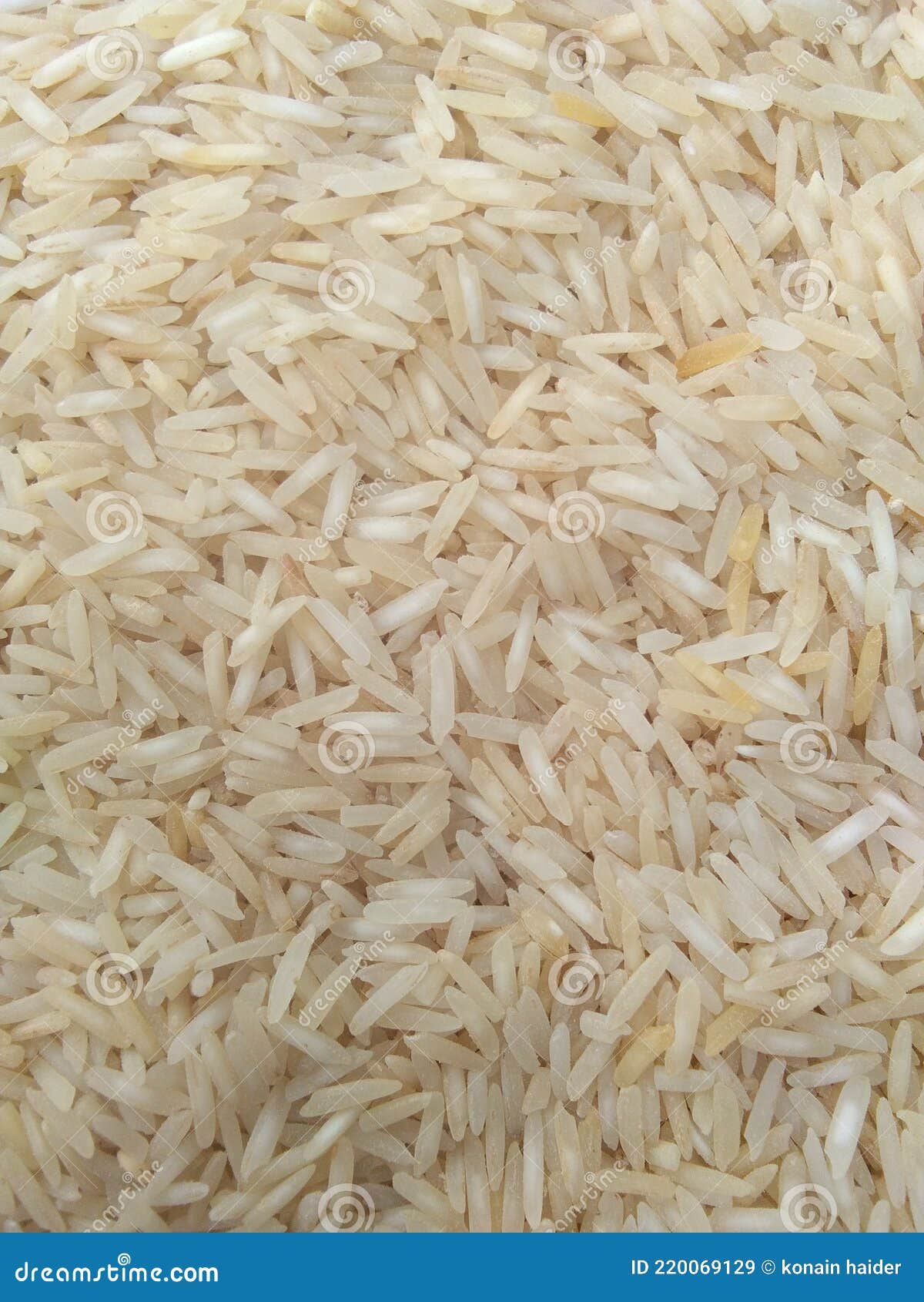Basmati rice stock image. Image of basmati, basmatiricegrains - 220069129