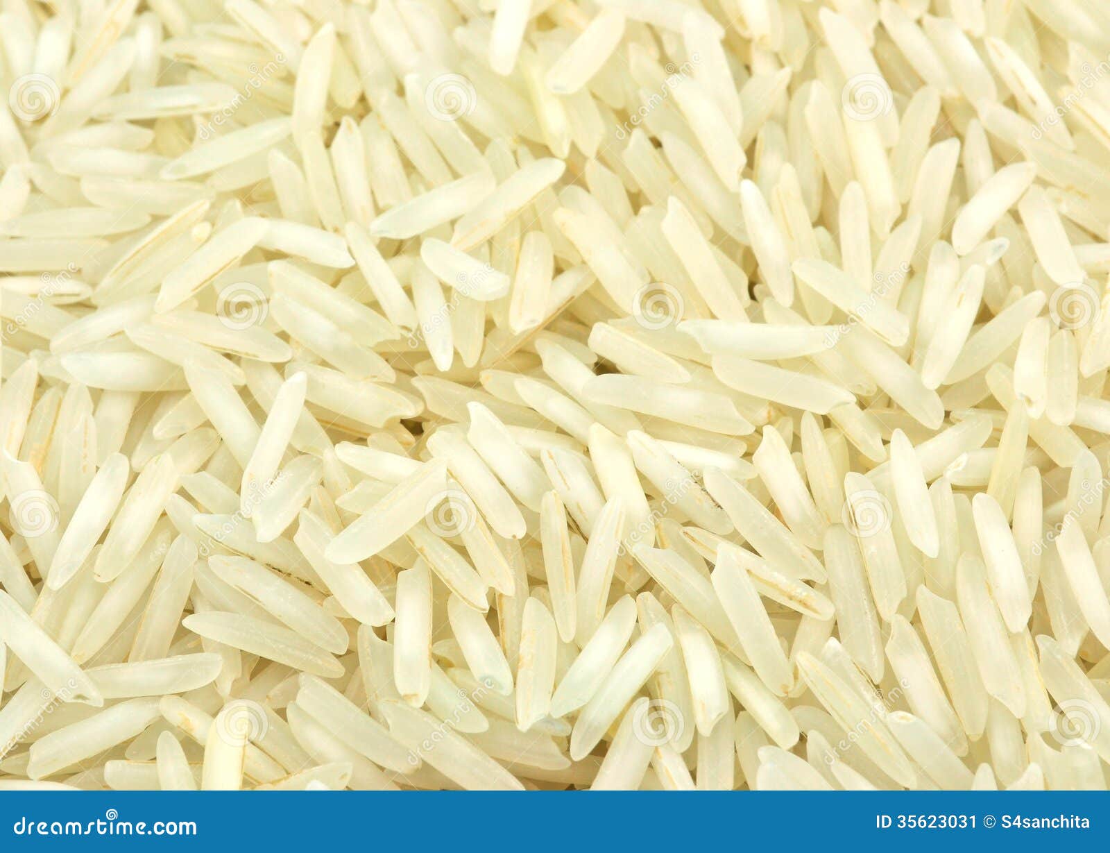 Basmati rice stock image. Image of rice, harvested, basmati - 35623031