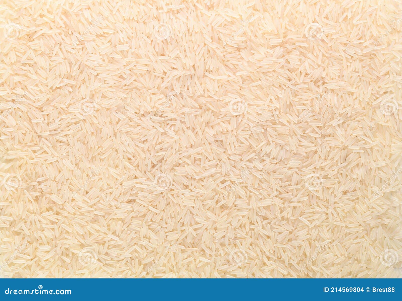 Basmati White Rice Solid Texture. Top View Close-up on Raw Rice Grains ...