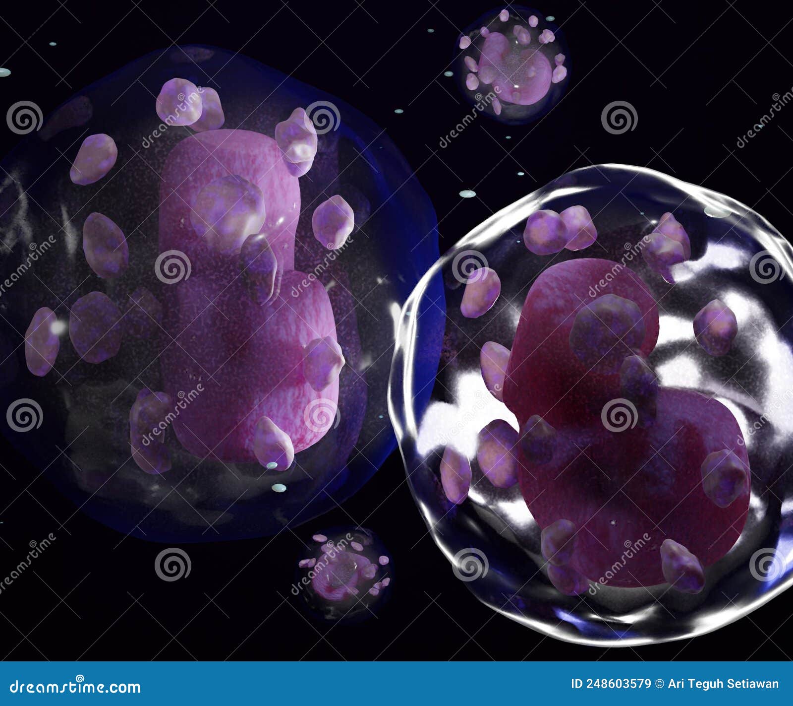The Basophils Are A Type Of White Blood Cell Royalty-Free Stock ...