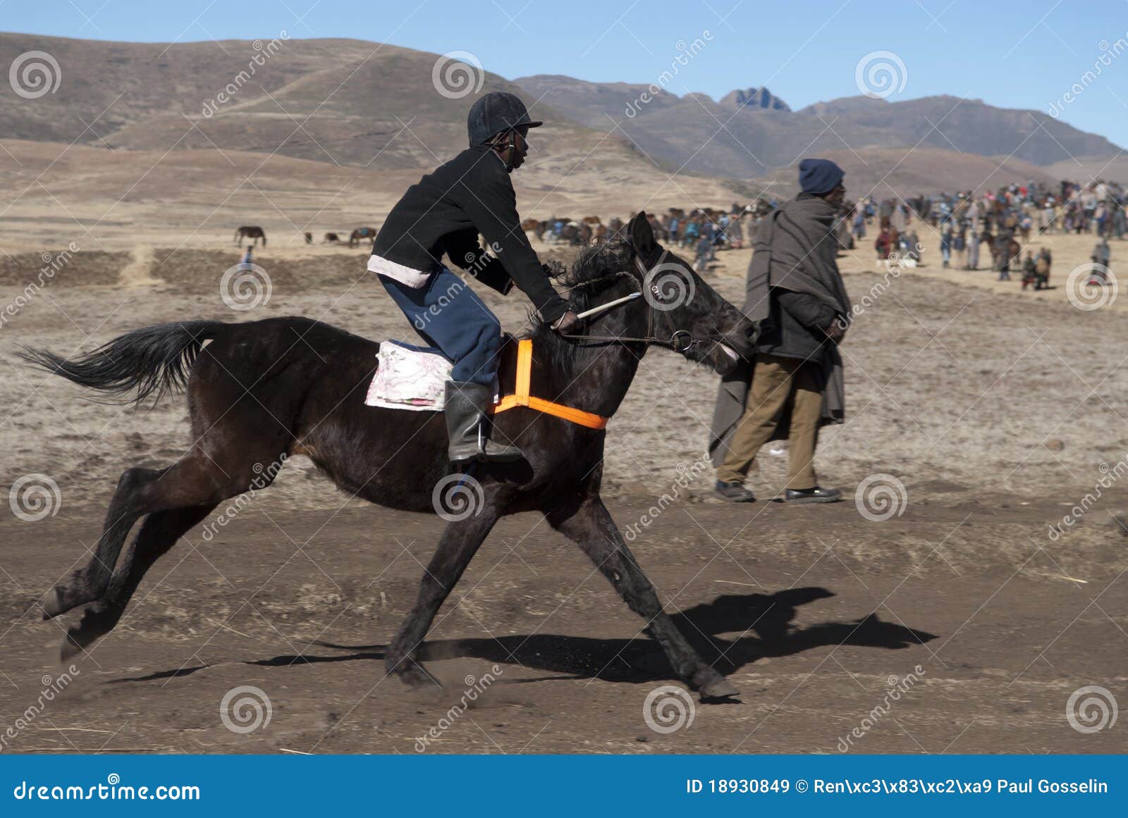 Basotho racing pony editorial stock image. Image of mountains - 18930849