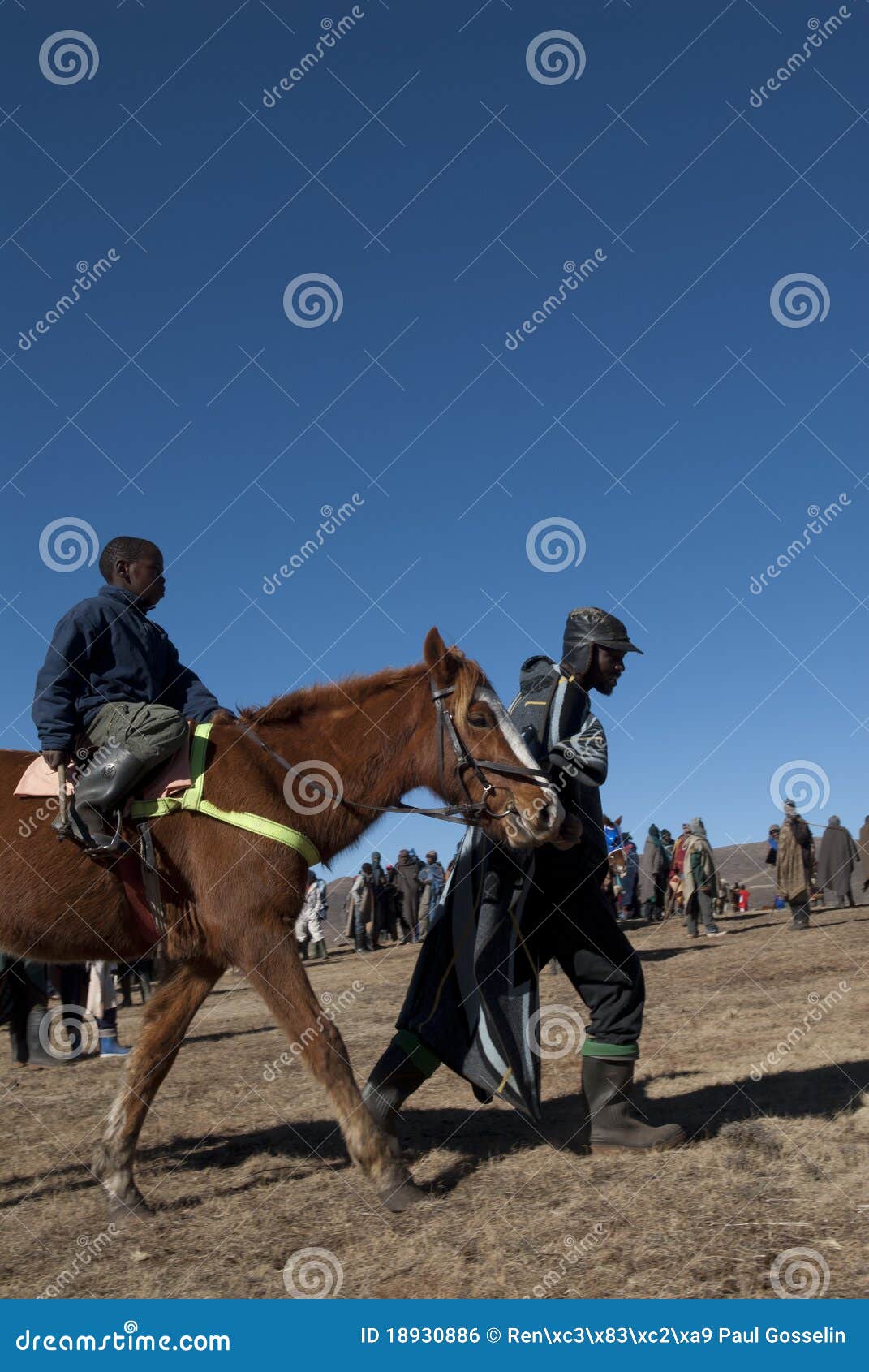 Basotho Racing Pony and His Keeper Editorial Photo - Image of ...