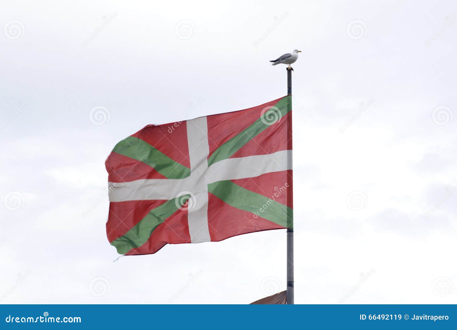 Basque Country Flag, with a Sea Gull on the Pole. Stock Image - Image ...