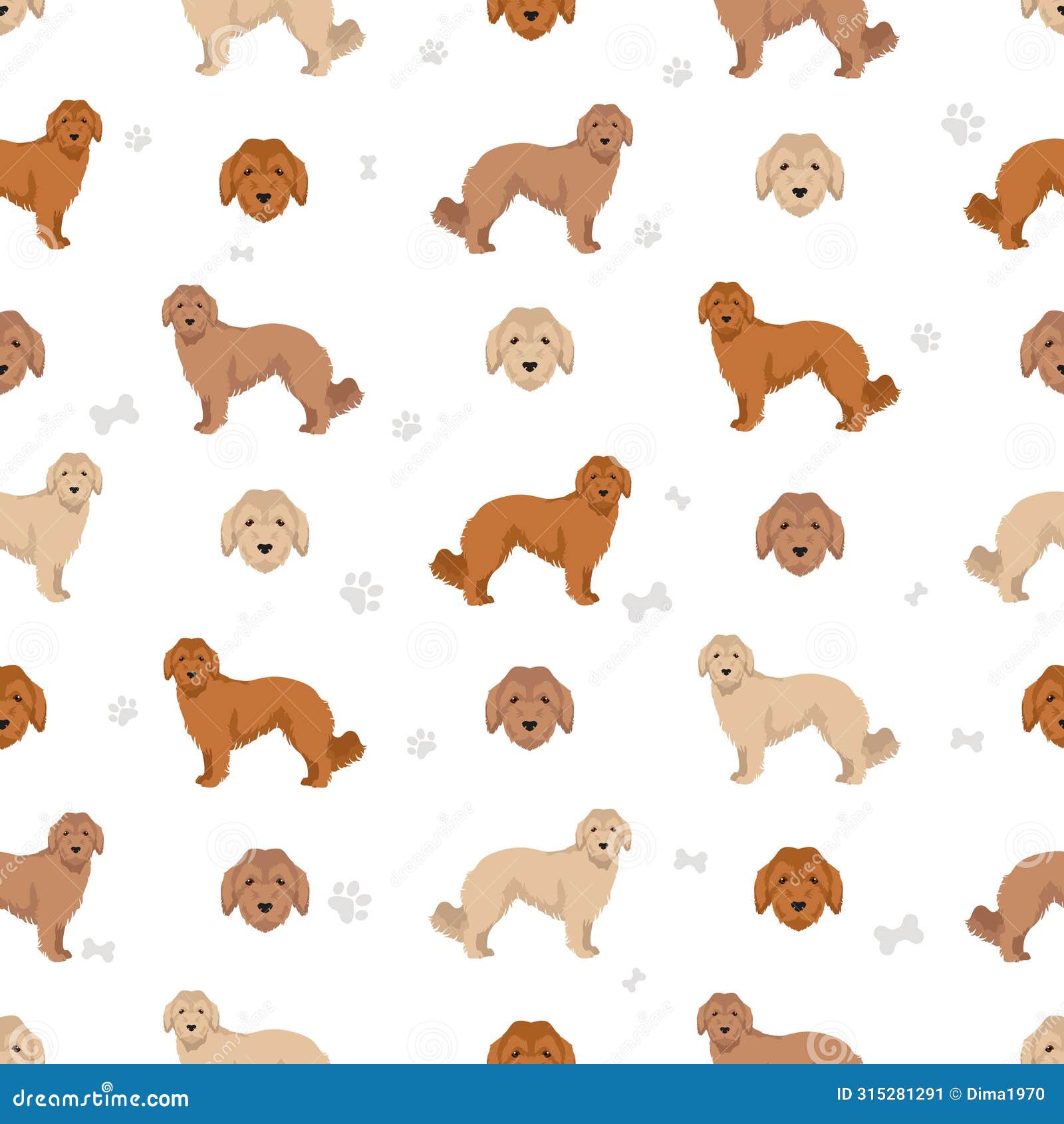 Basque Shepherd Dog All Colours Seamless Pattern. Different Coat Colors ...