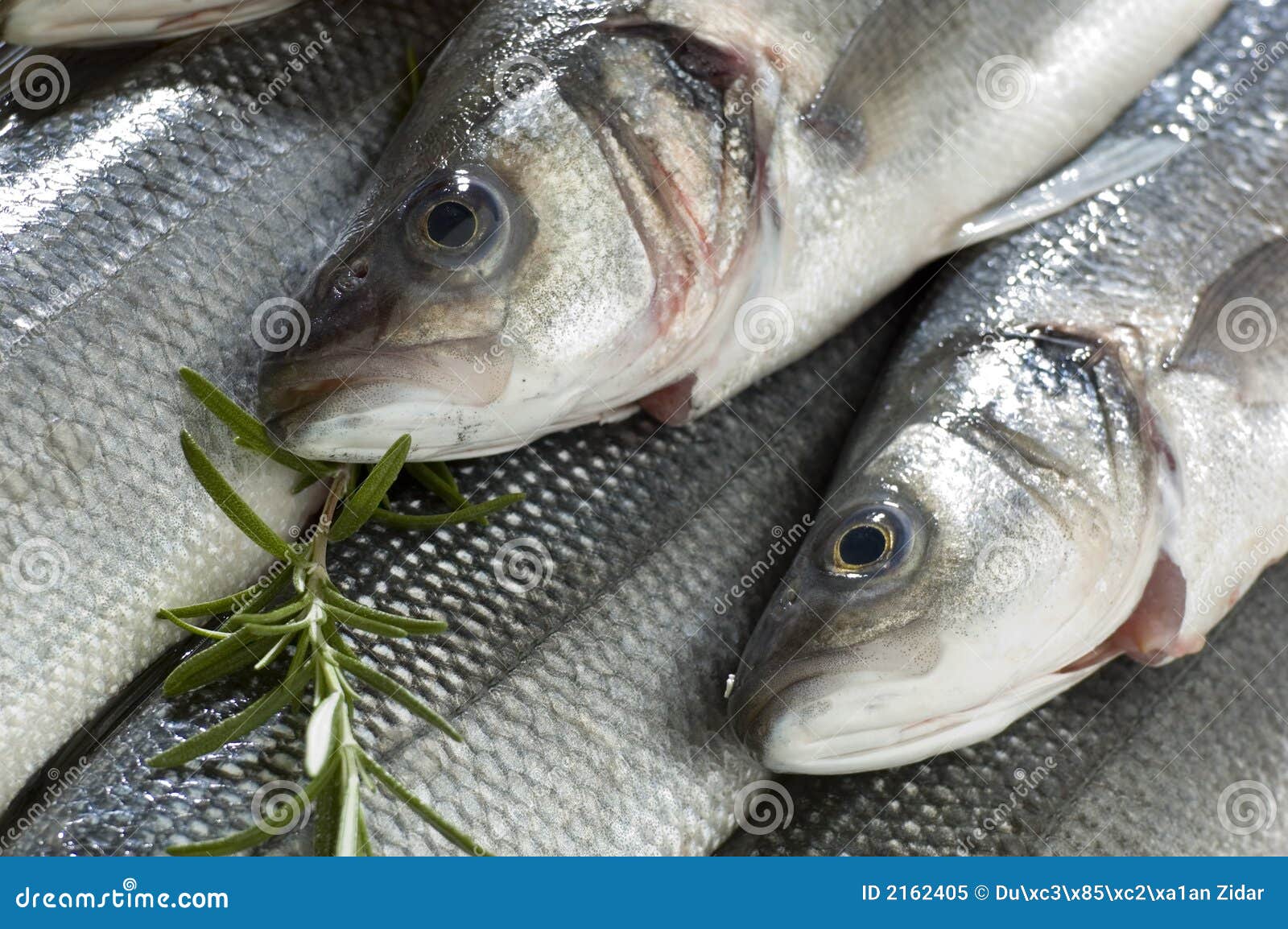 Bass stock image. Image of kitchen, healthy, food, uncooked - 2162405