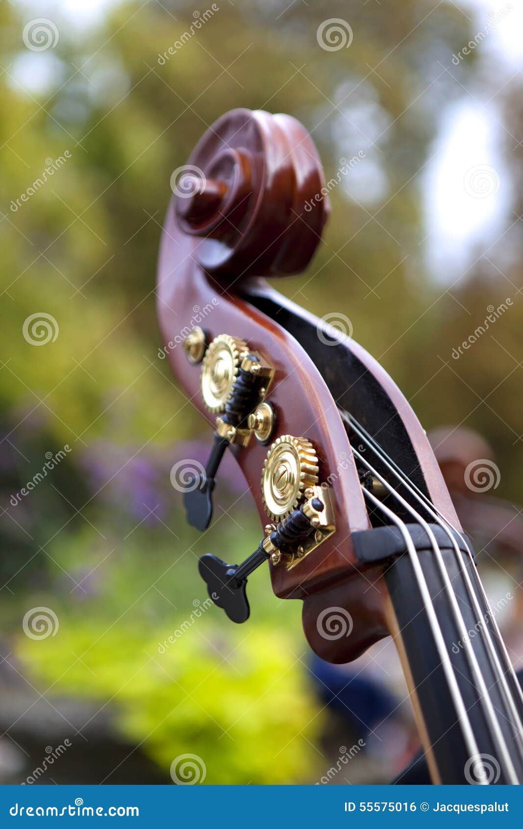 Bass stock photo. Image of rope, bass, musical, detail - 55575016