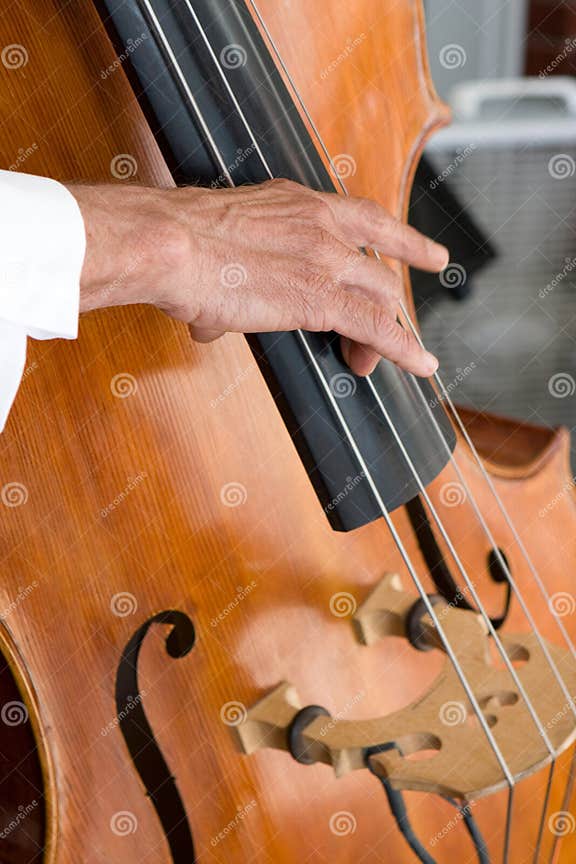 Bass Fiddle Player stock image. Image of notes, instrument - 9298533