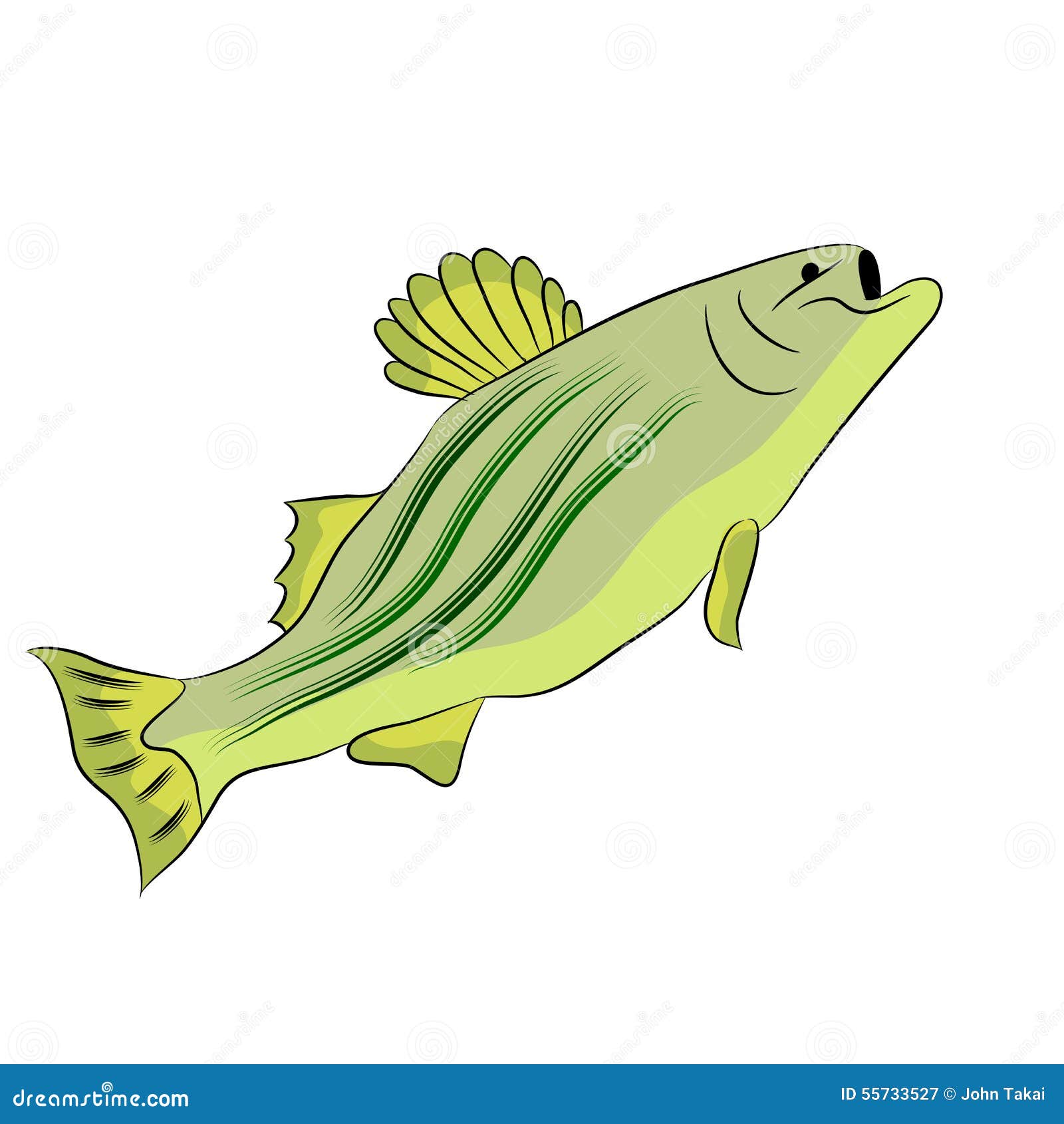 Bass Fish Drawing stock vector. Illustration of cartoon - 55733527