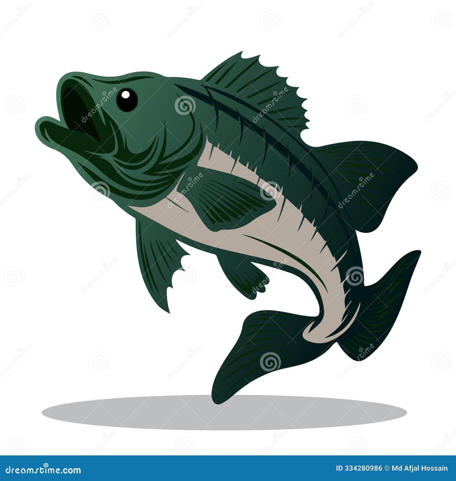Bass Fish Vector art stock vector. Illustration of font - 334280986