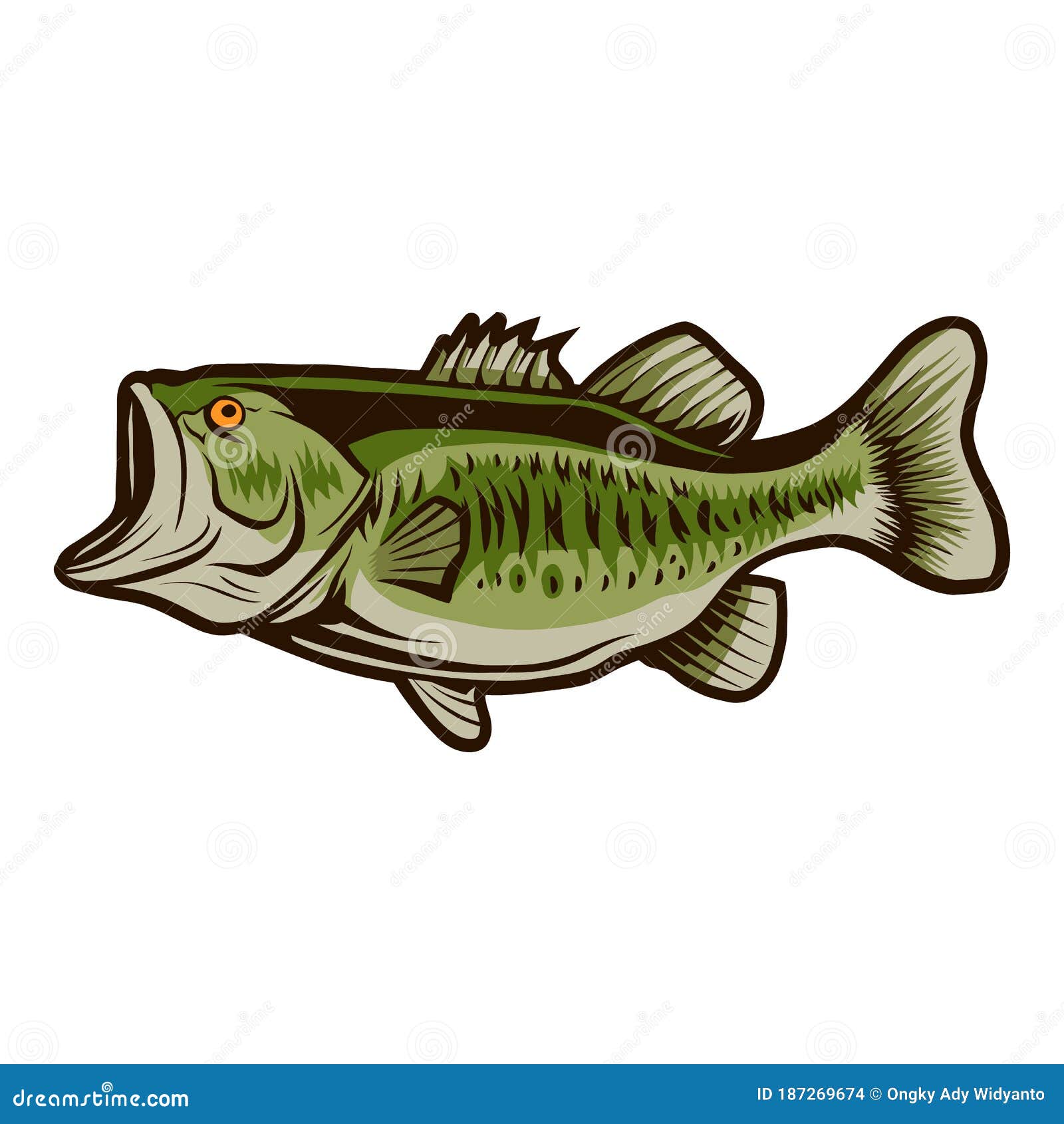 Bass Fish Vector Illustration Design Isolated Object on White ...
